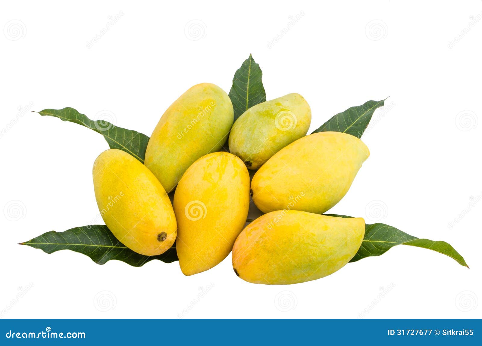 Ripe mangoes stock image. Image of closeup, golden, mango - 31727677