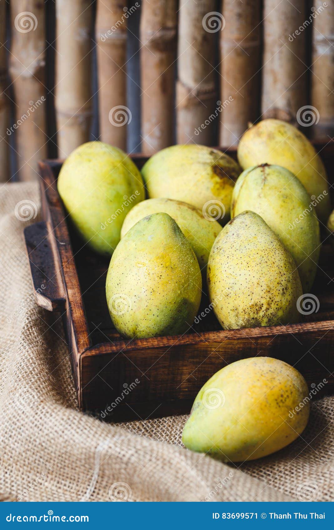 Ripe Mangoes stock image. Image of slice, fresh, healthy - 83699571