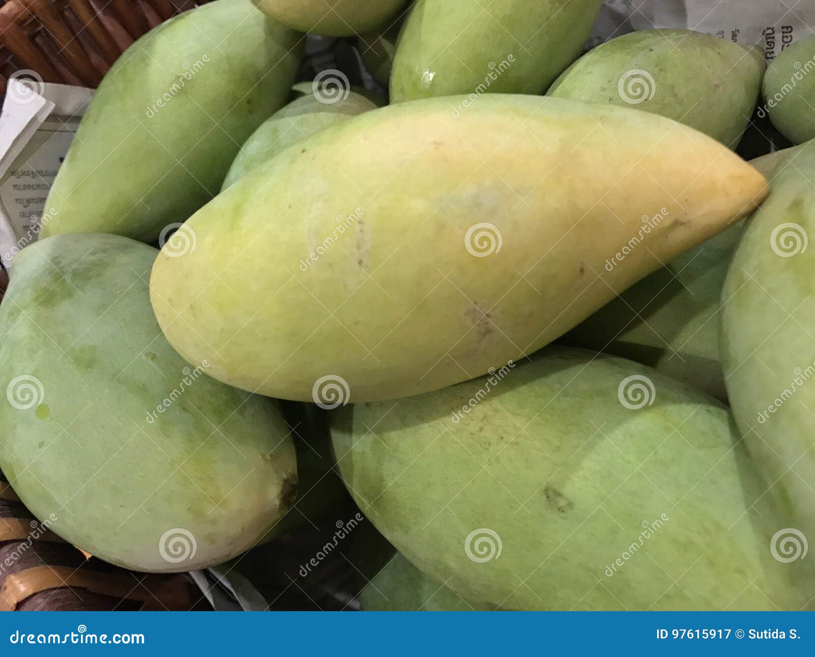 Ripe mangoes stock image. Image of agriculture, summer - 97615917