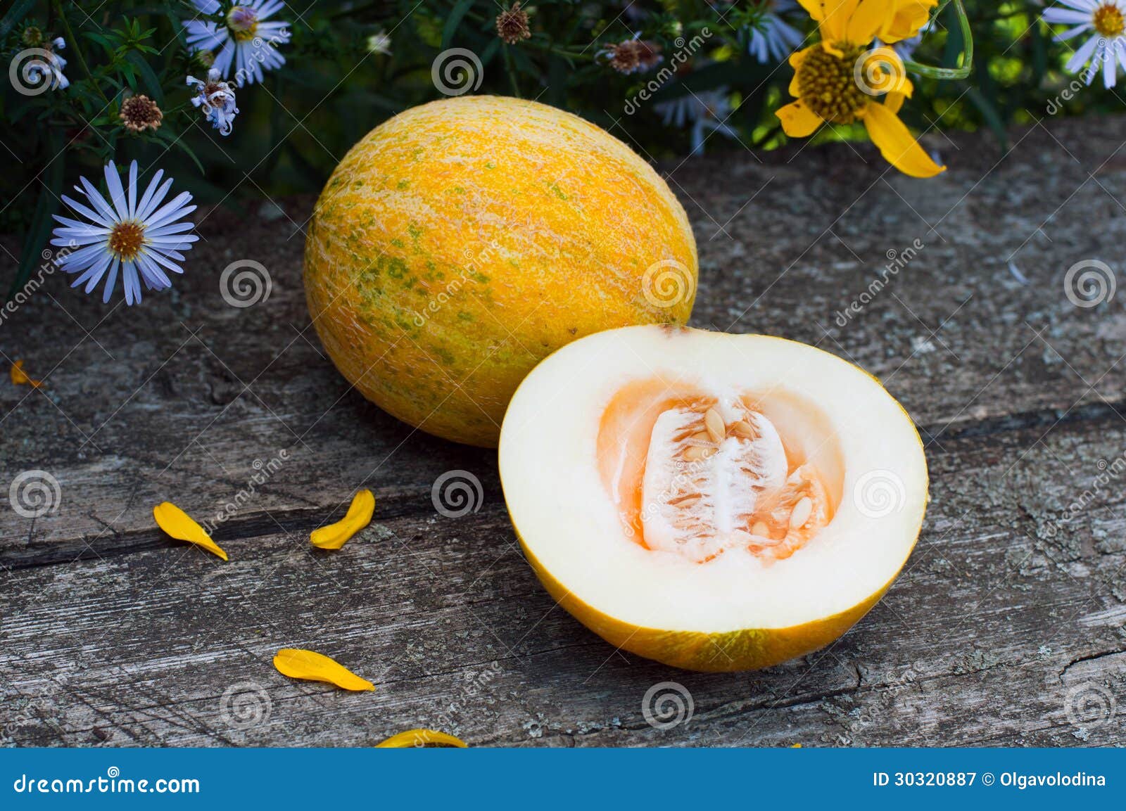 Ripe melon on table stock image. Image of open, melon - 30320887