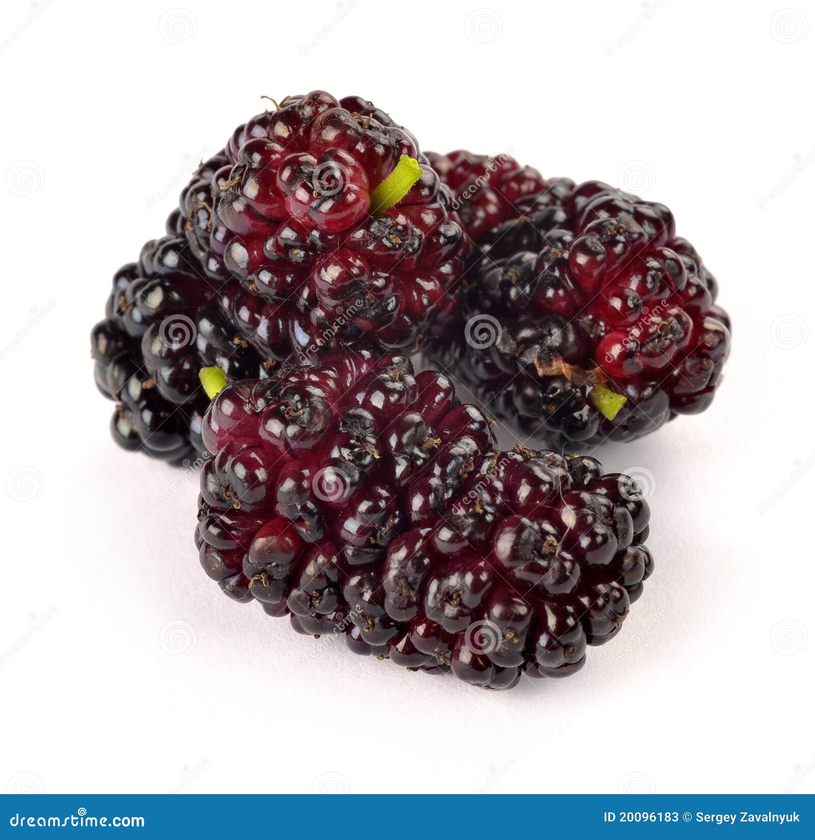 Ripe mulberry stock image. Image of fresh, leaves, macro - 20096183