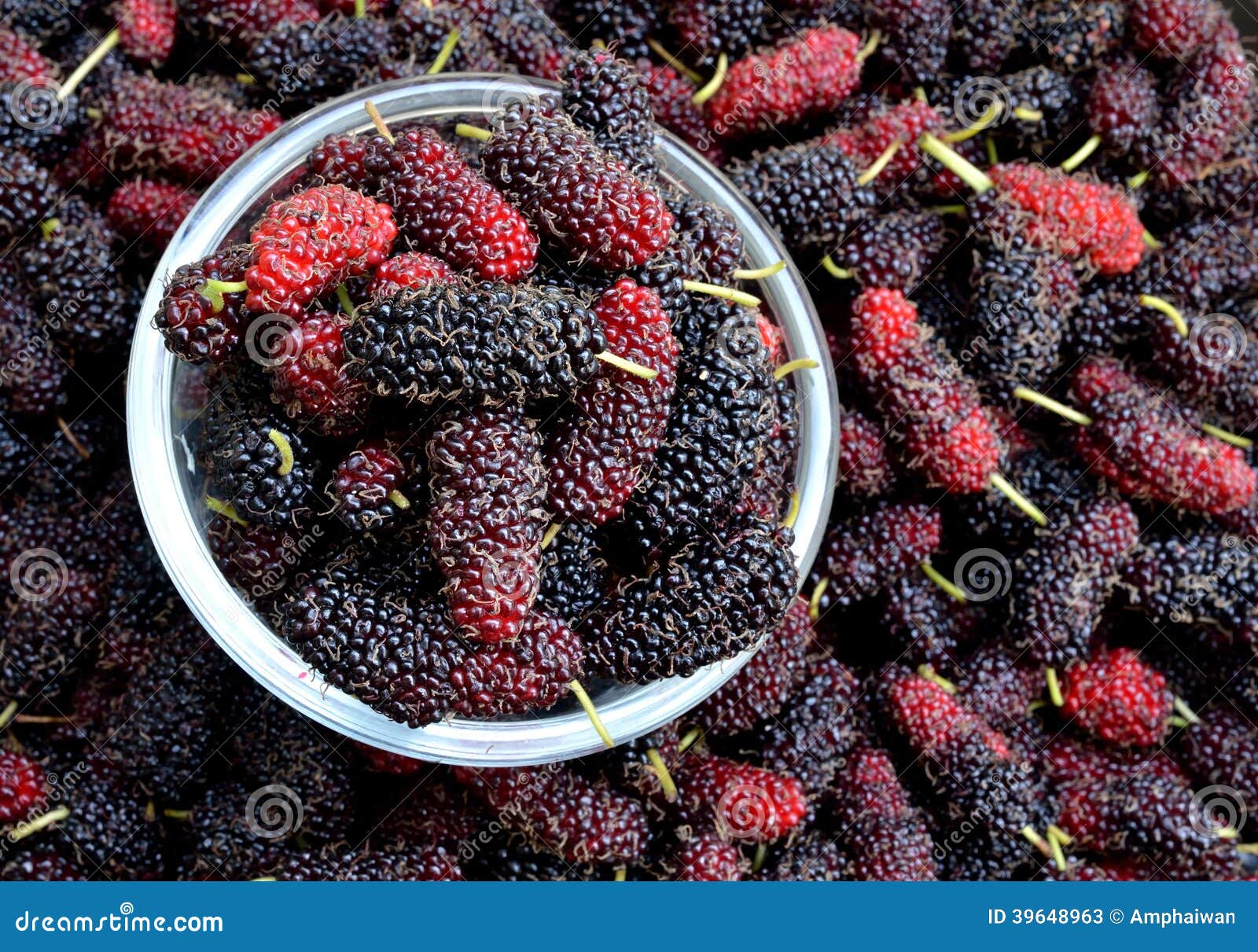 Ripe Mulberry Berries in a Bowl Stock Image - Image of freshness, piled ...