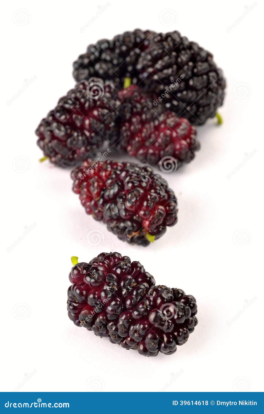 Ripe mulberry stock photo. Image of black, mulberry, leaves - 39614618