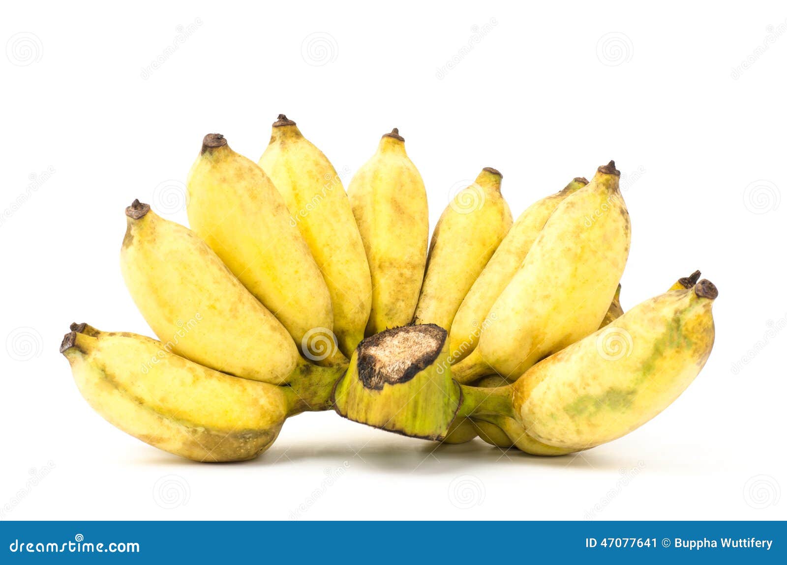 Ripe native banana stock image. Image of healthy, fresh - 47077641