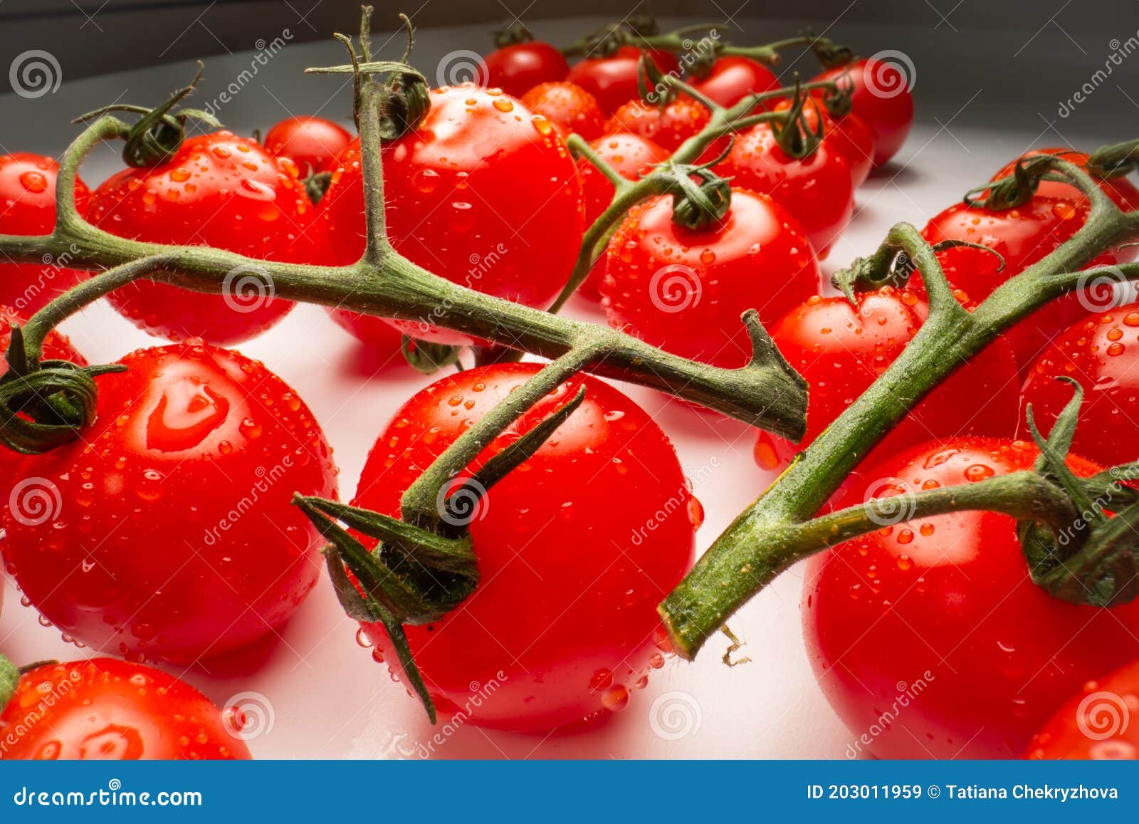 Ripe Natural Tomatoes on a Branch. Wide Angle Stock Image - Image of ...