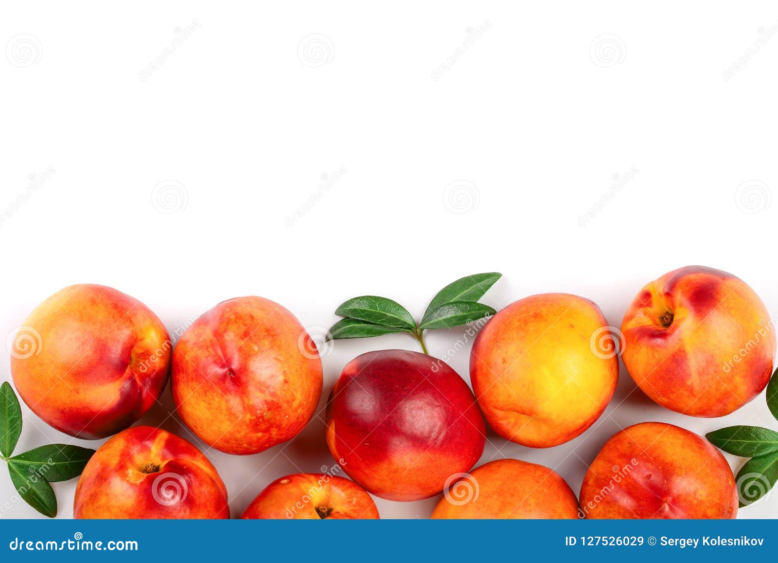 Ripe Nectarine with Leaves Isolated on White Background with Copy Space ...