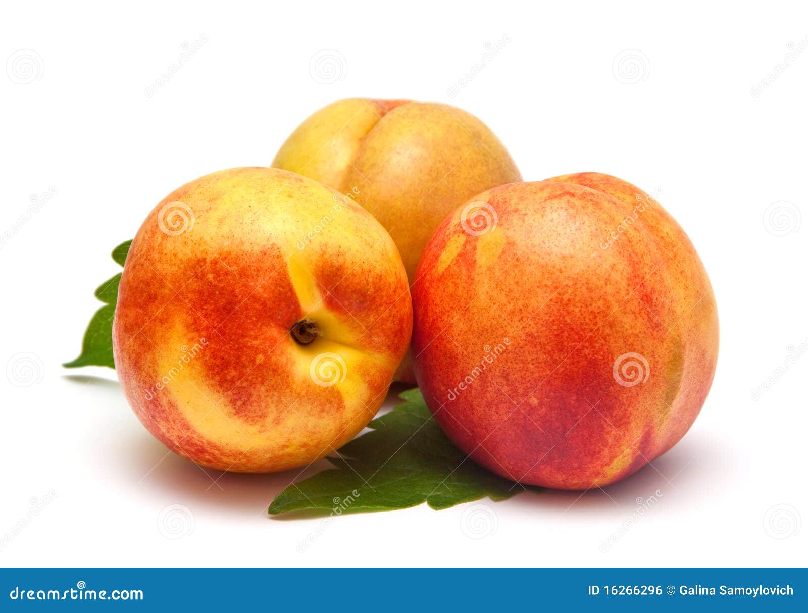 Ripe Nectarines on the Green Leaves Stock Photo - Image of ripe ...