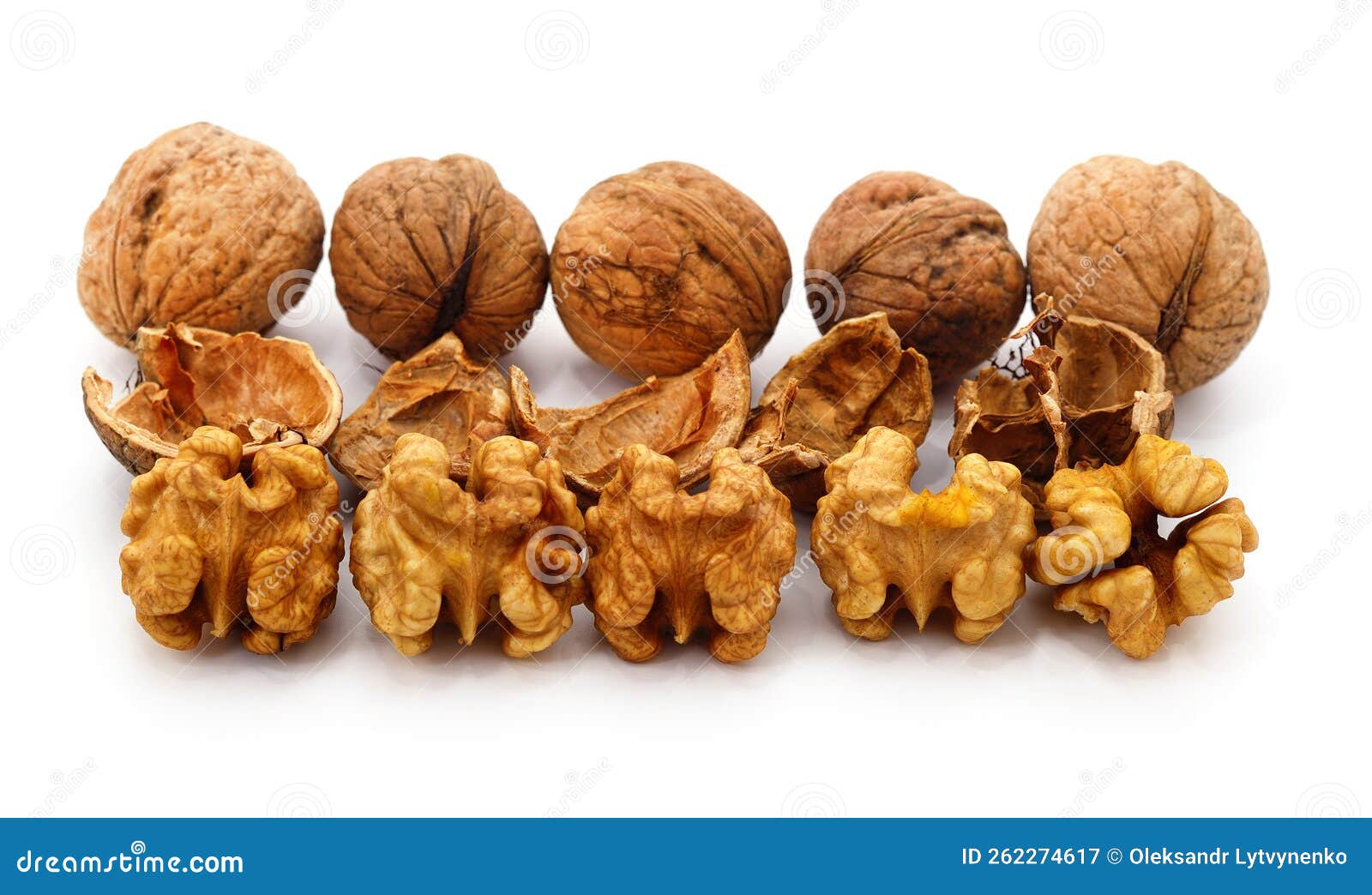 Ripe Nuts and Kernels in Shell Stock Image - Image of seed, autumn ...