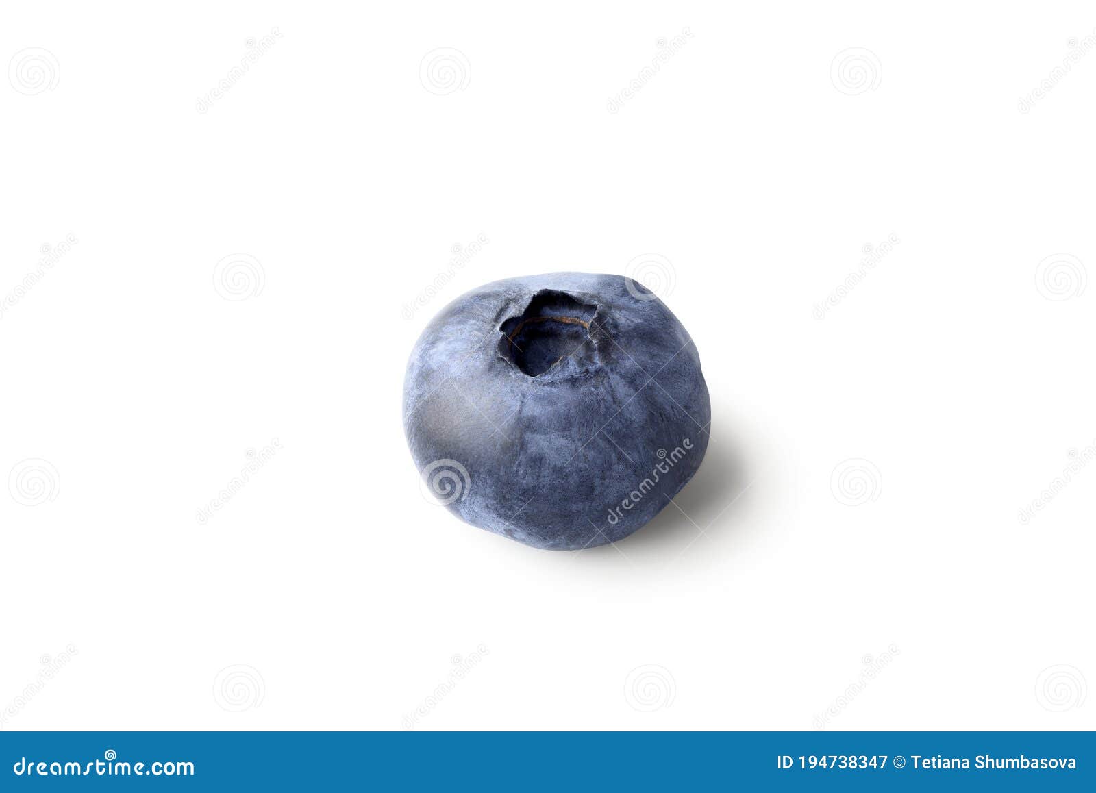 Ripe One Blueberry Isolated on White Background. Clipping Path Stock ...