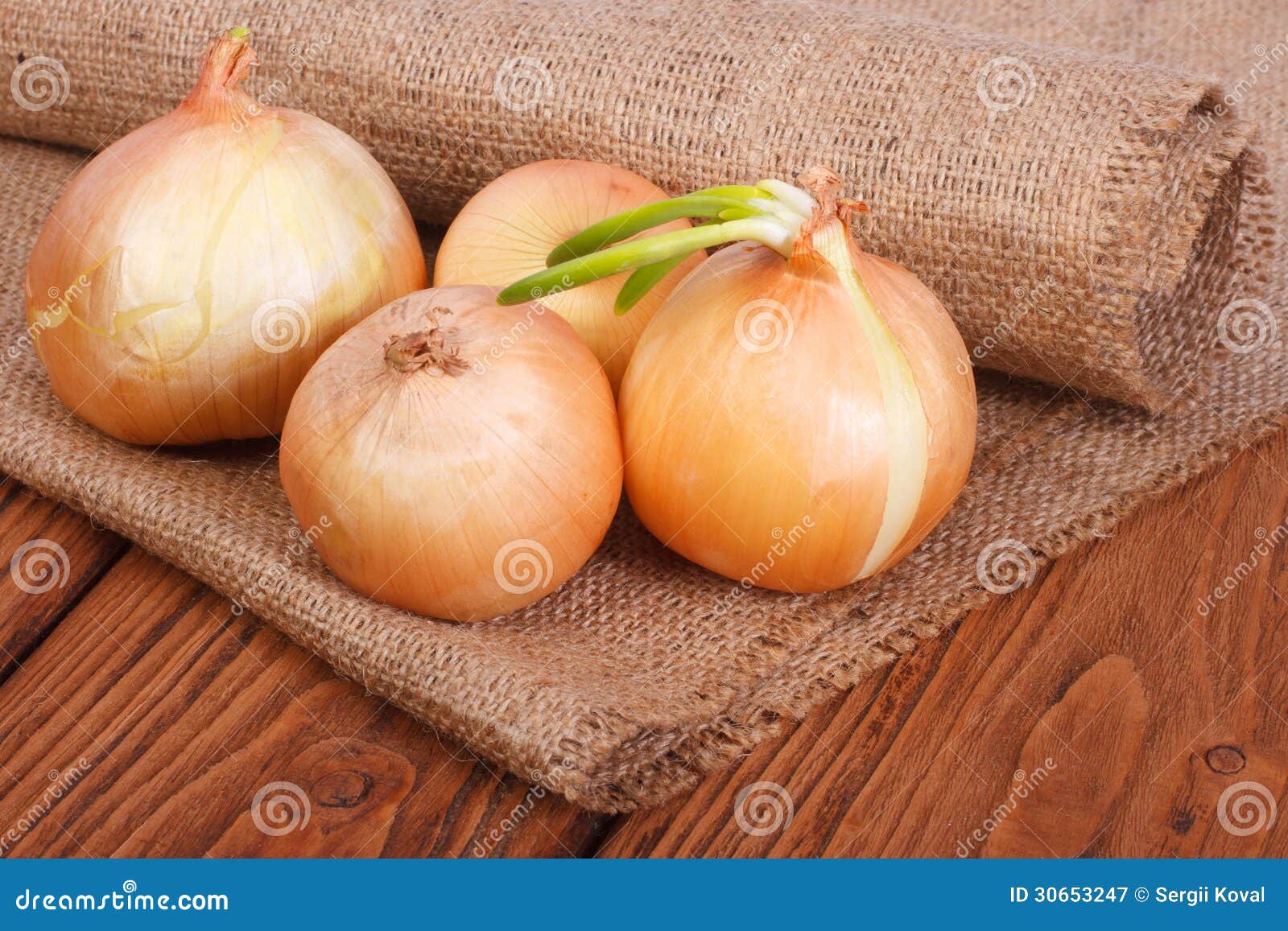 Ripe Onion on the Oak Table Stock Image - Image of growth, harvesting ...
