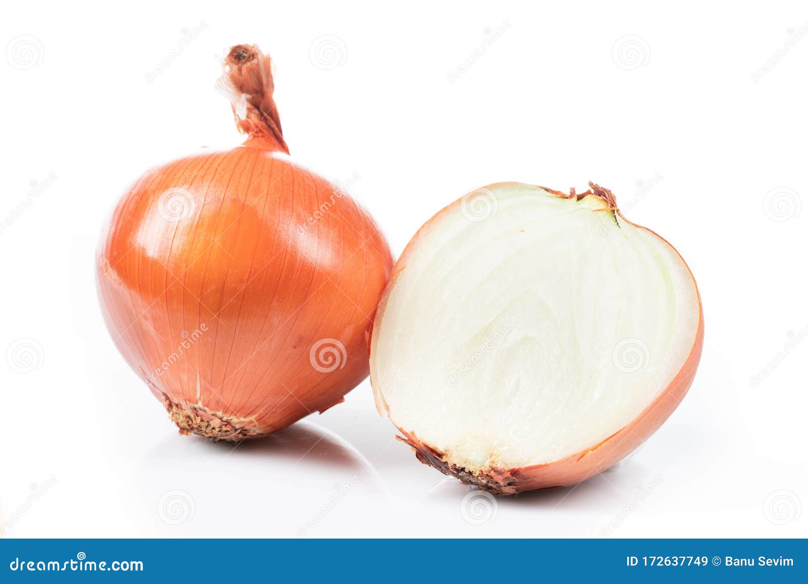 Onion on white background stock image. Image of shallot - 172637749