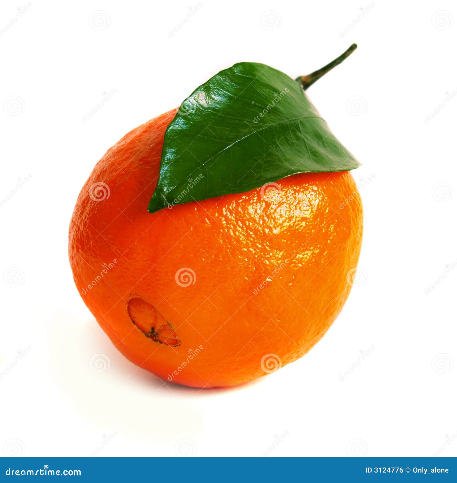 Ripe orange stock photo. Image of green, drink, healthcare - 3124776
