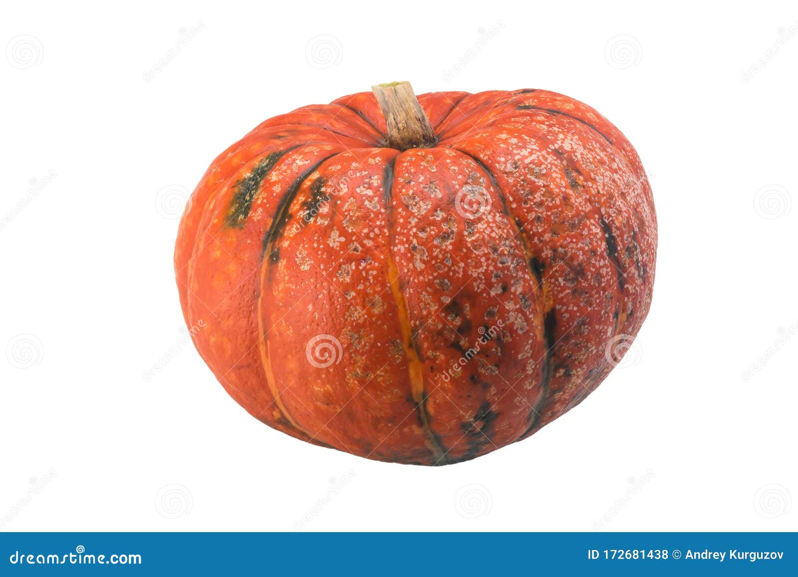 Ripe Orange Pumpkin Isolated on White Background, Side View Stock Photo ...