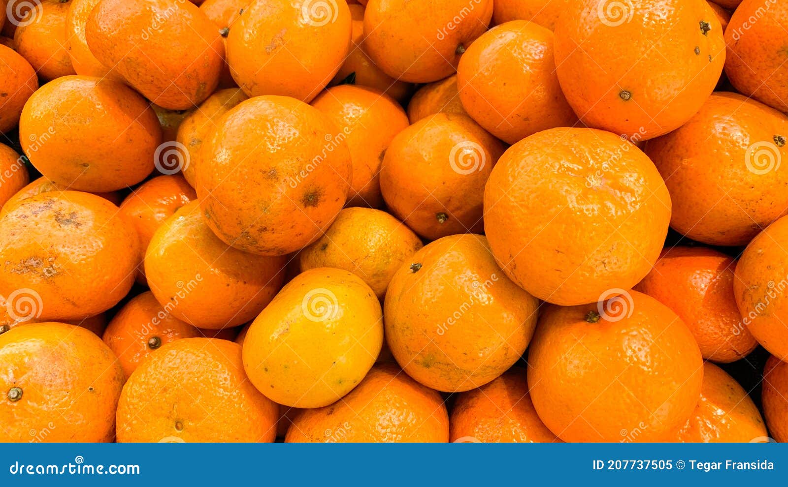 Ripe orange on supermarket stock image. Image of sale - 207737505