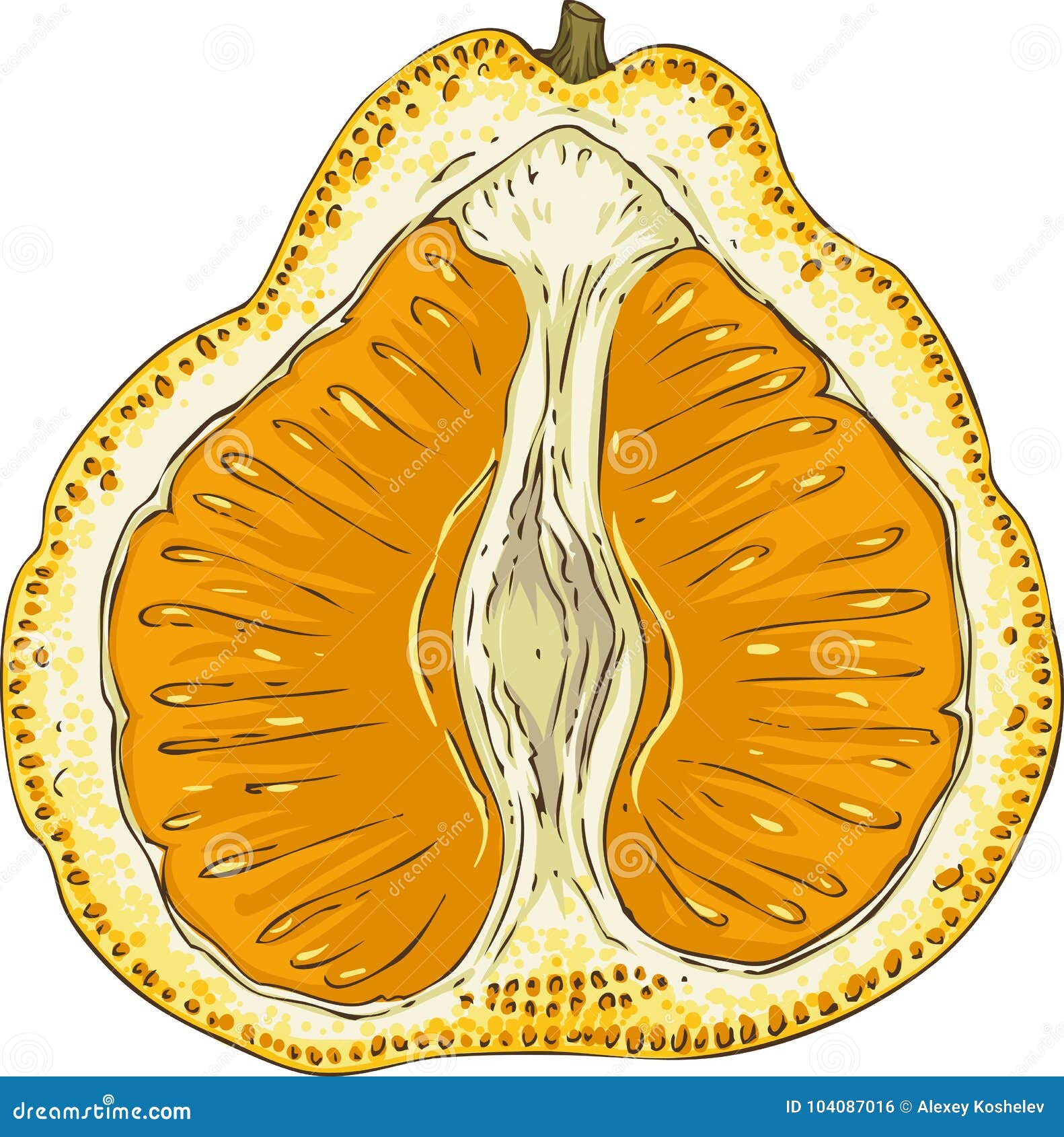 Tangelo / Color Palette Ready For Textile. Hue, Tints, Tones And Shades ...