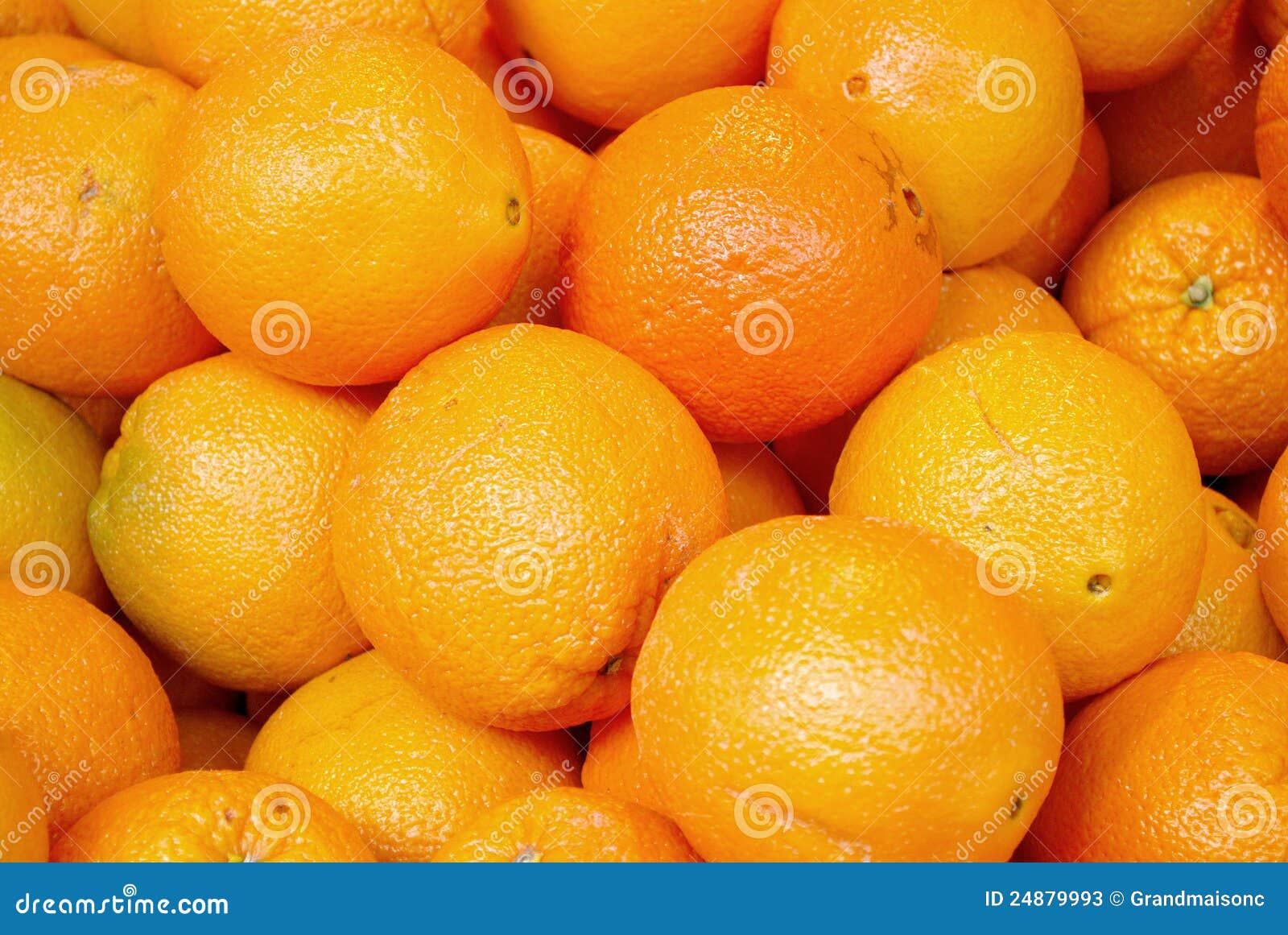 Ripe oranges fruit stock image. Image of nutritious, food - 24879993