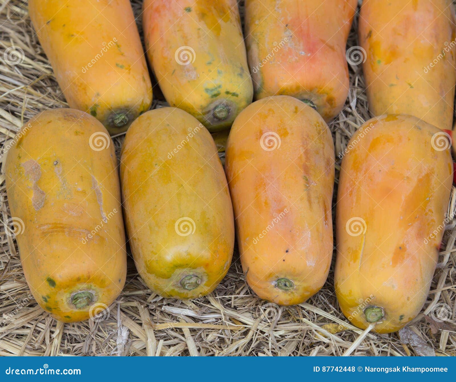 Ripe papaya,Fruit healthy. stock photo. Image of food - 87742448