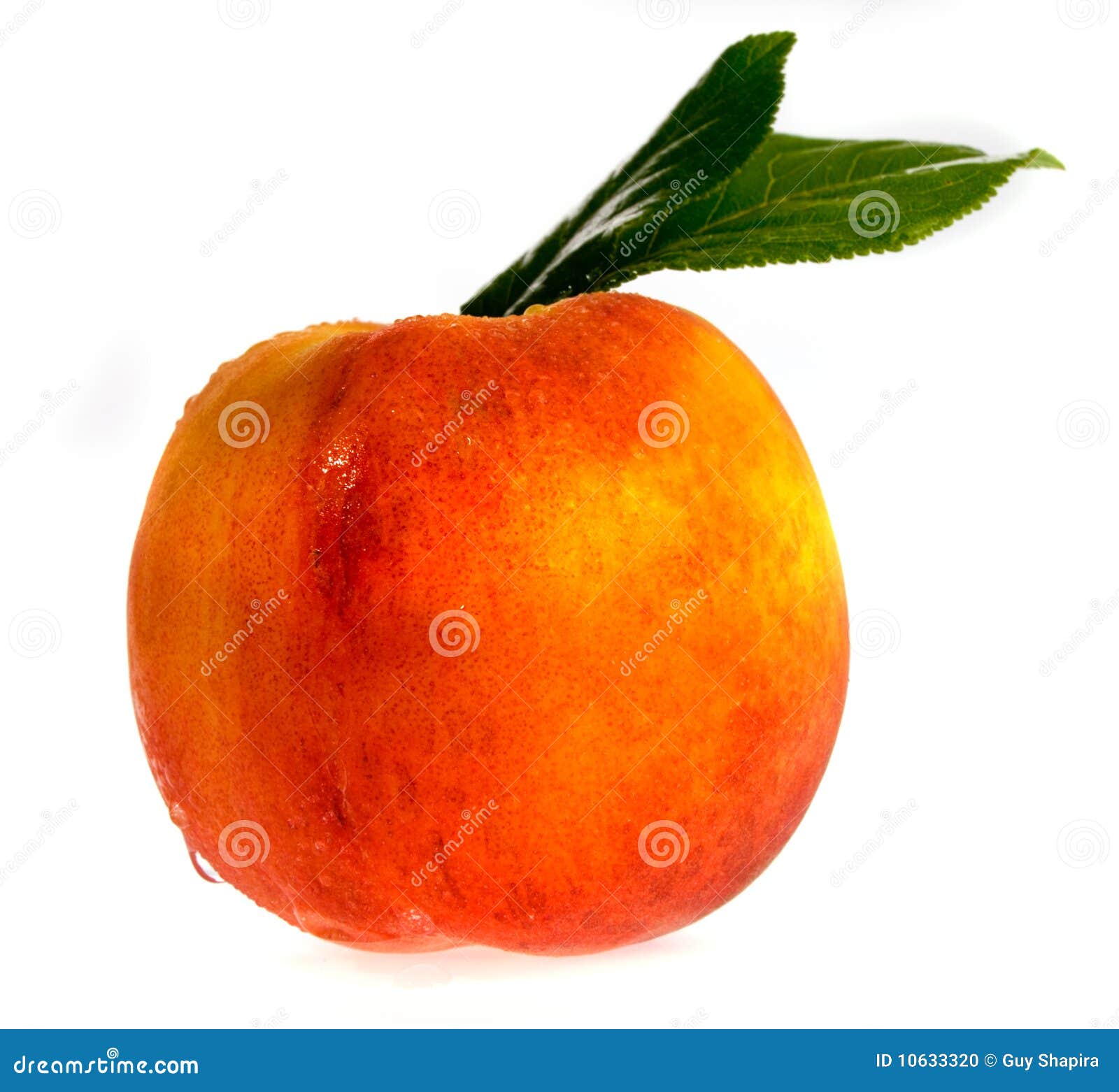 Ripe peach stock photo. Image of succulent, diet, peaches - 10633320