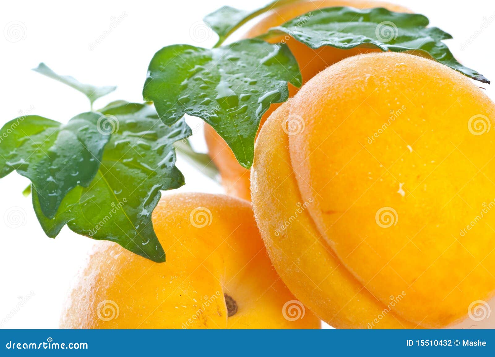 Ripe peach stock photo. Image of organic, harvest, color - 15510432