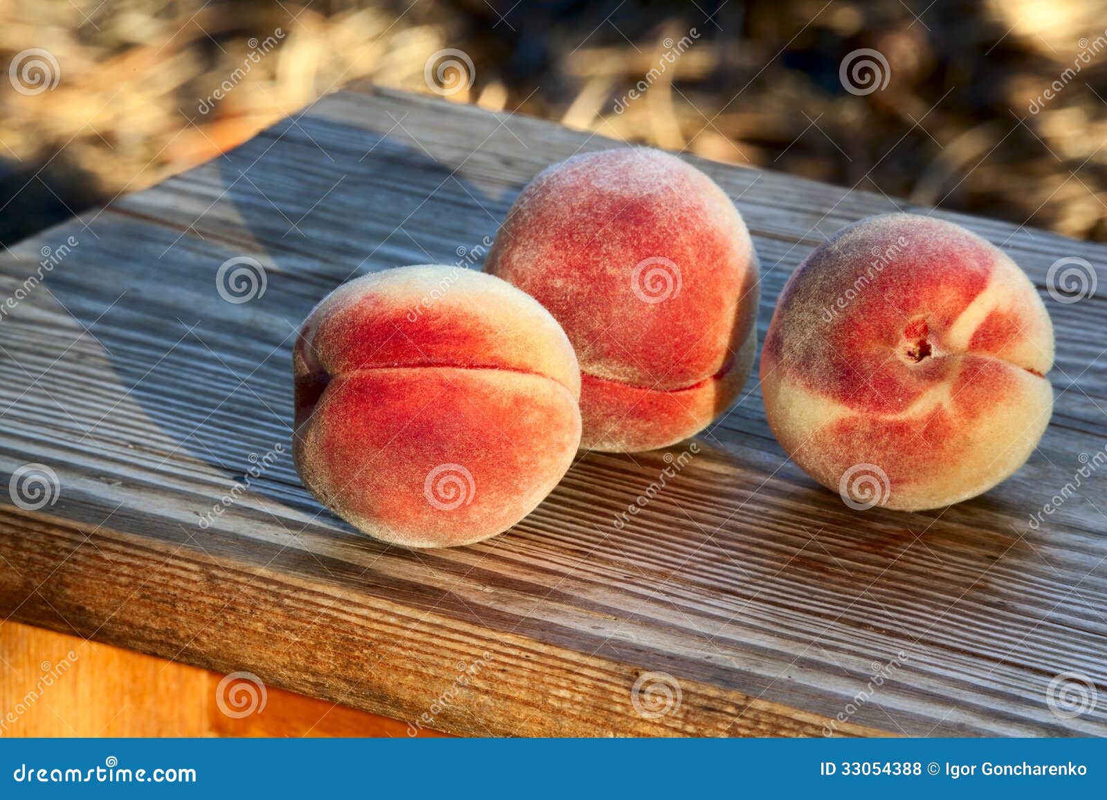 Ripe peaches stock photo. Image of organic, summer, closeup - 33054388