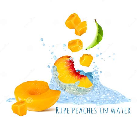 Ripe Peaches in Water Splash Stock Vector - Illustration of healthful ...