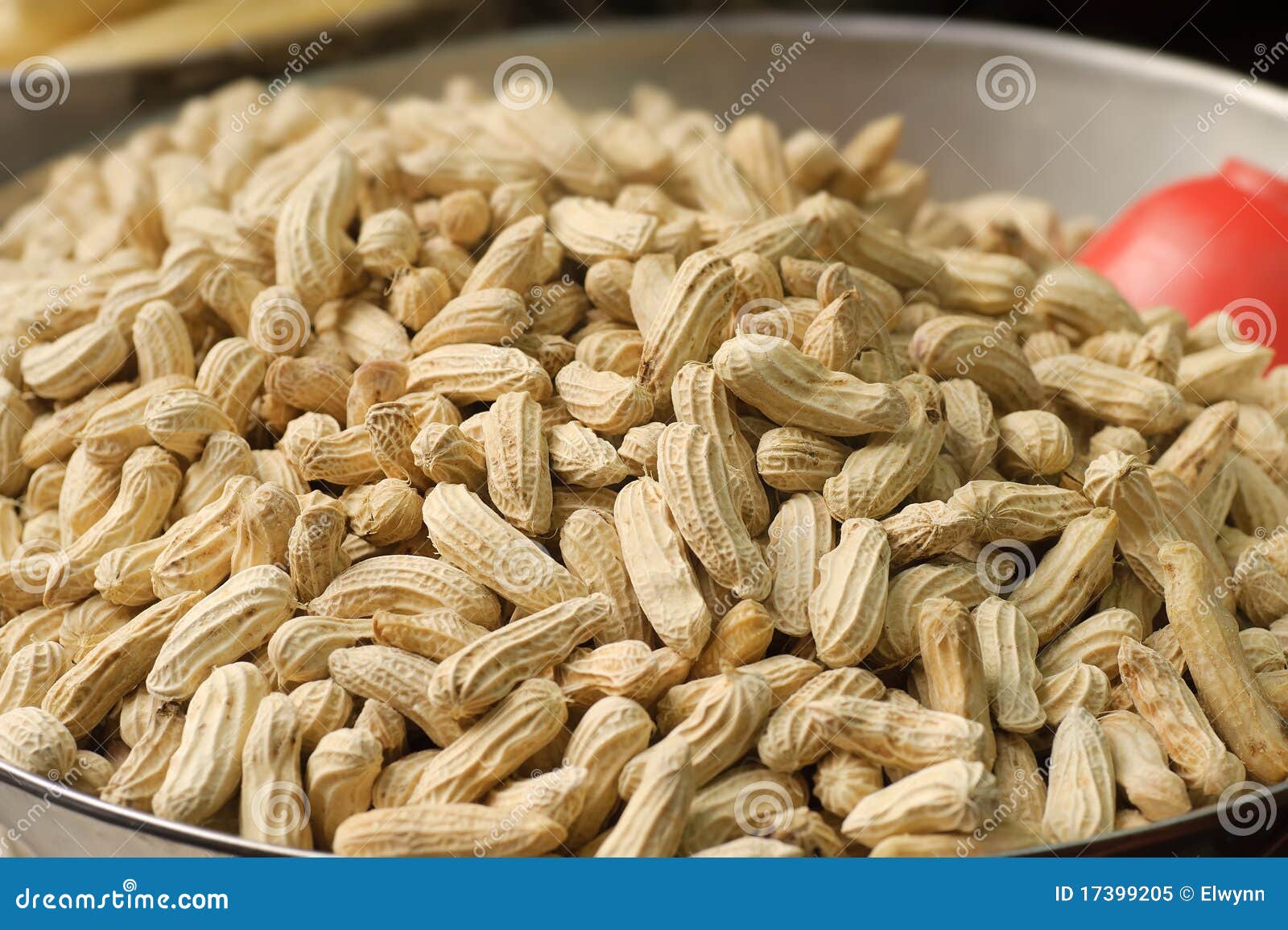 Ripe peanut stock image. Image of exotic, nutrition, marketplace - 17399205