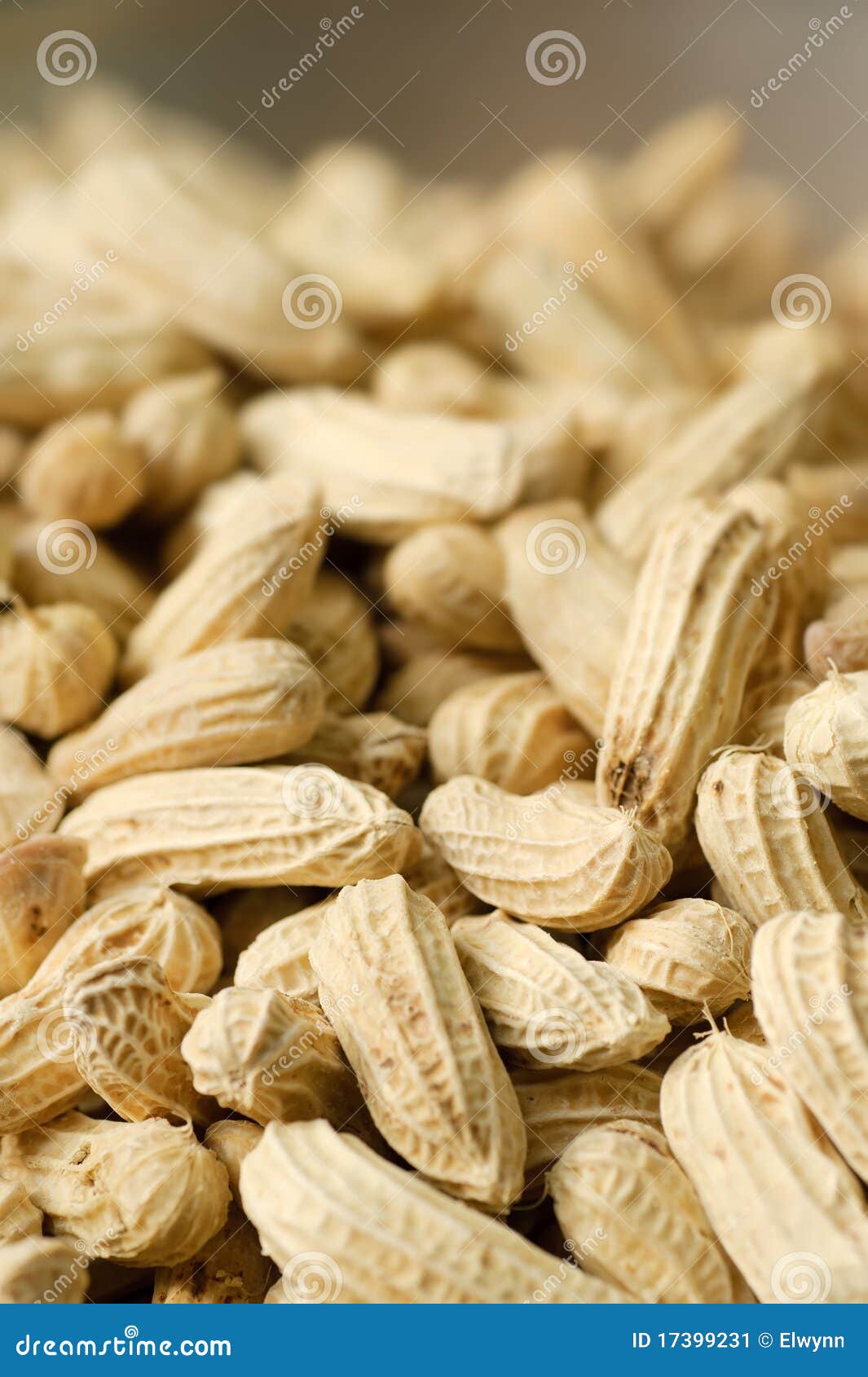 Ripe peanut stock image. Image of juicy, crunchy, dessert - 17399231