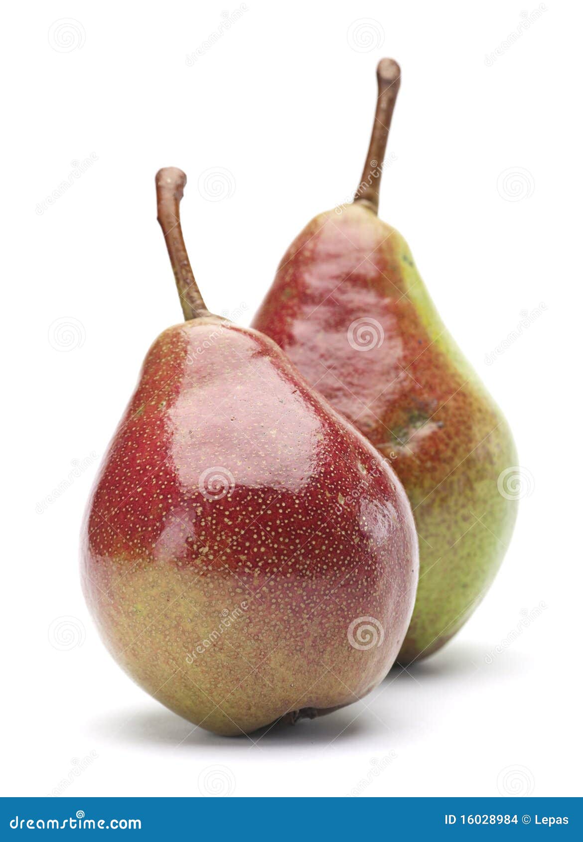 Ripe pear stock photo. Image of fruit, freshness, ingredient - 16028984