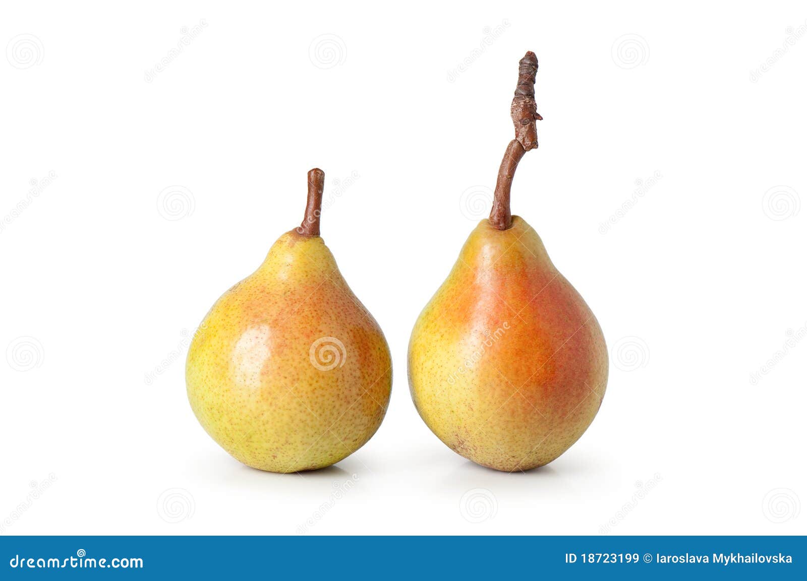 Ripe pear stock image. Image of green, dessert, stem - 18723199