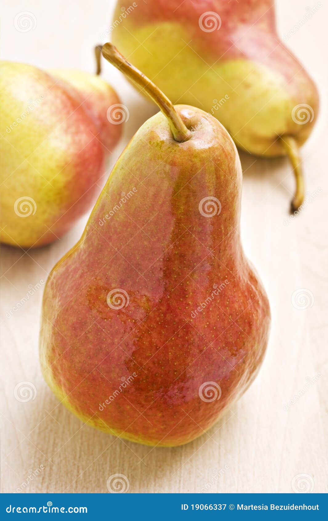 Ripe pear in autumn colors stock image. Image of eating - 19066337