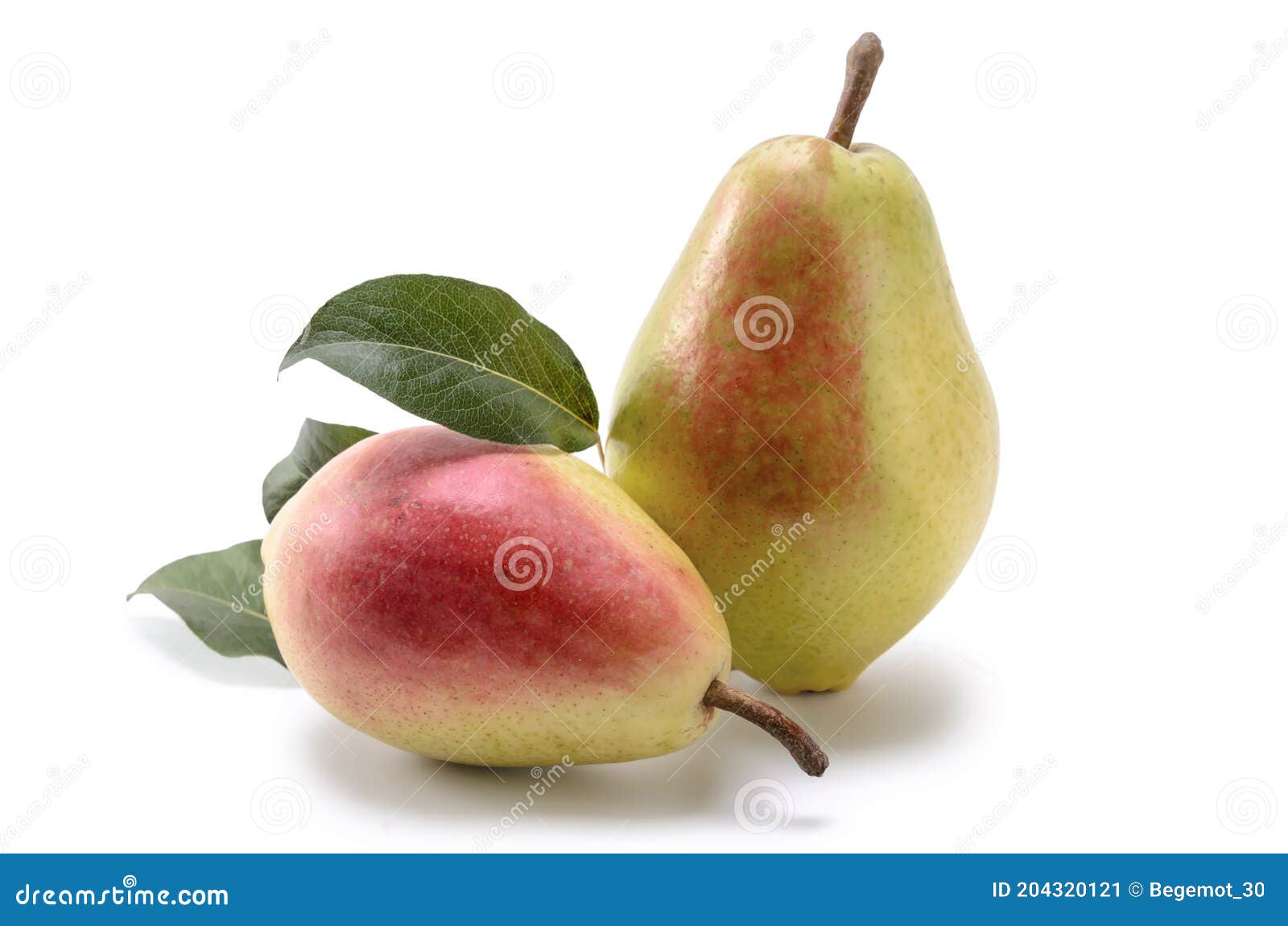 Ripe pear fruits stock image. Image of dessert, diet - 204320121