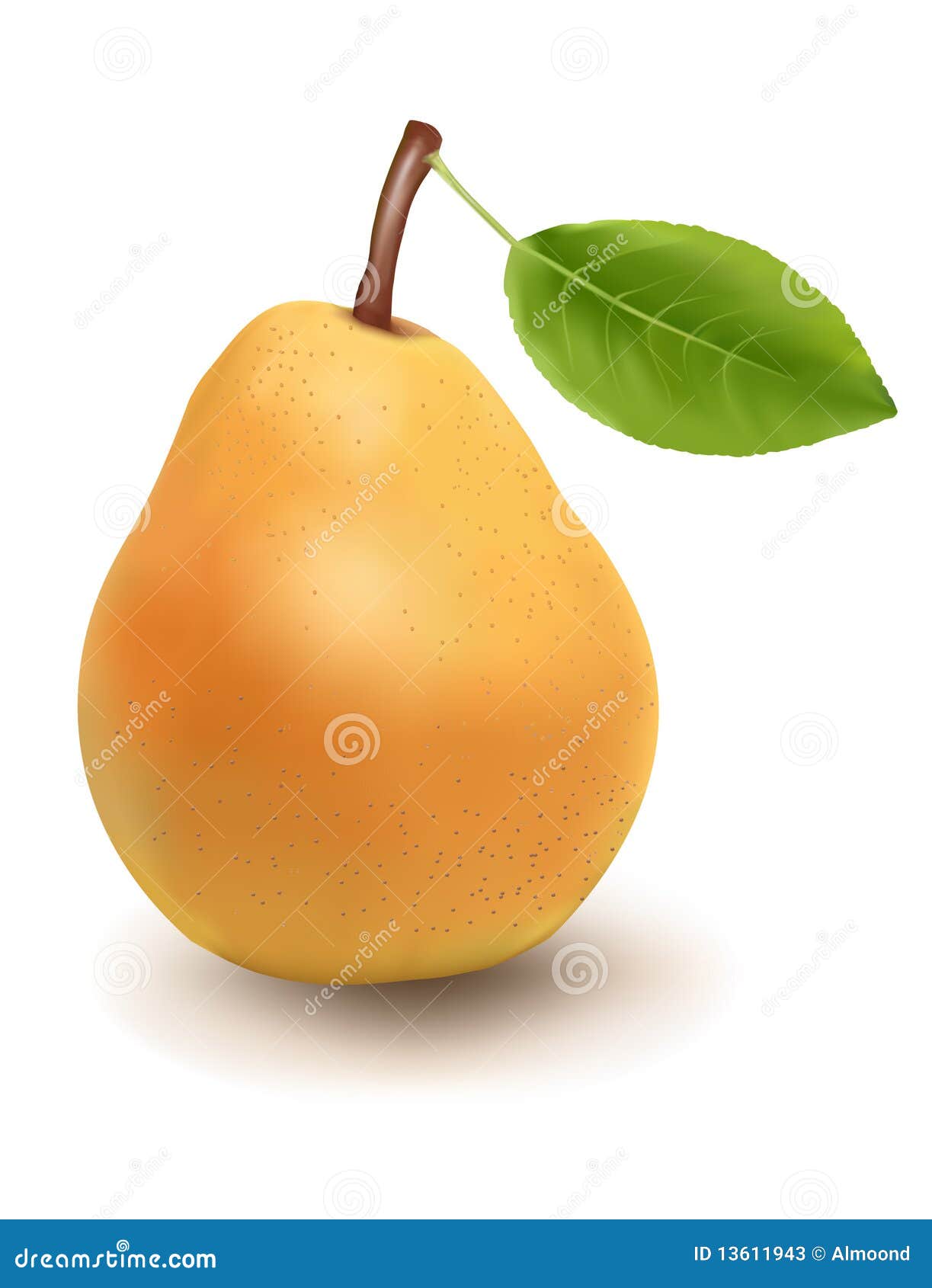 Studio Ripe Stock Illustrations – 13,736 Studio Ripe Stock ...