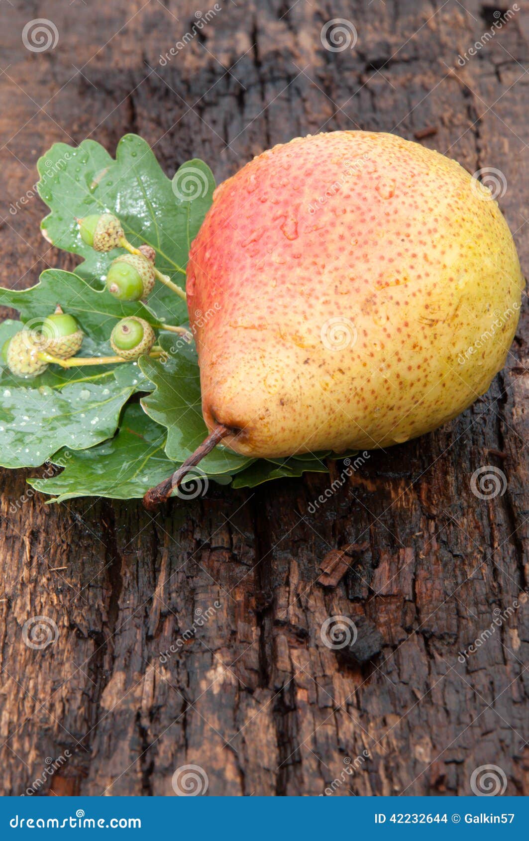 Ripe PEAR stock photo. Image of juicy, antique, eating - 42232644