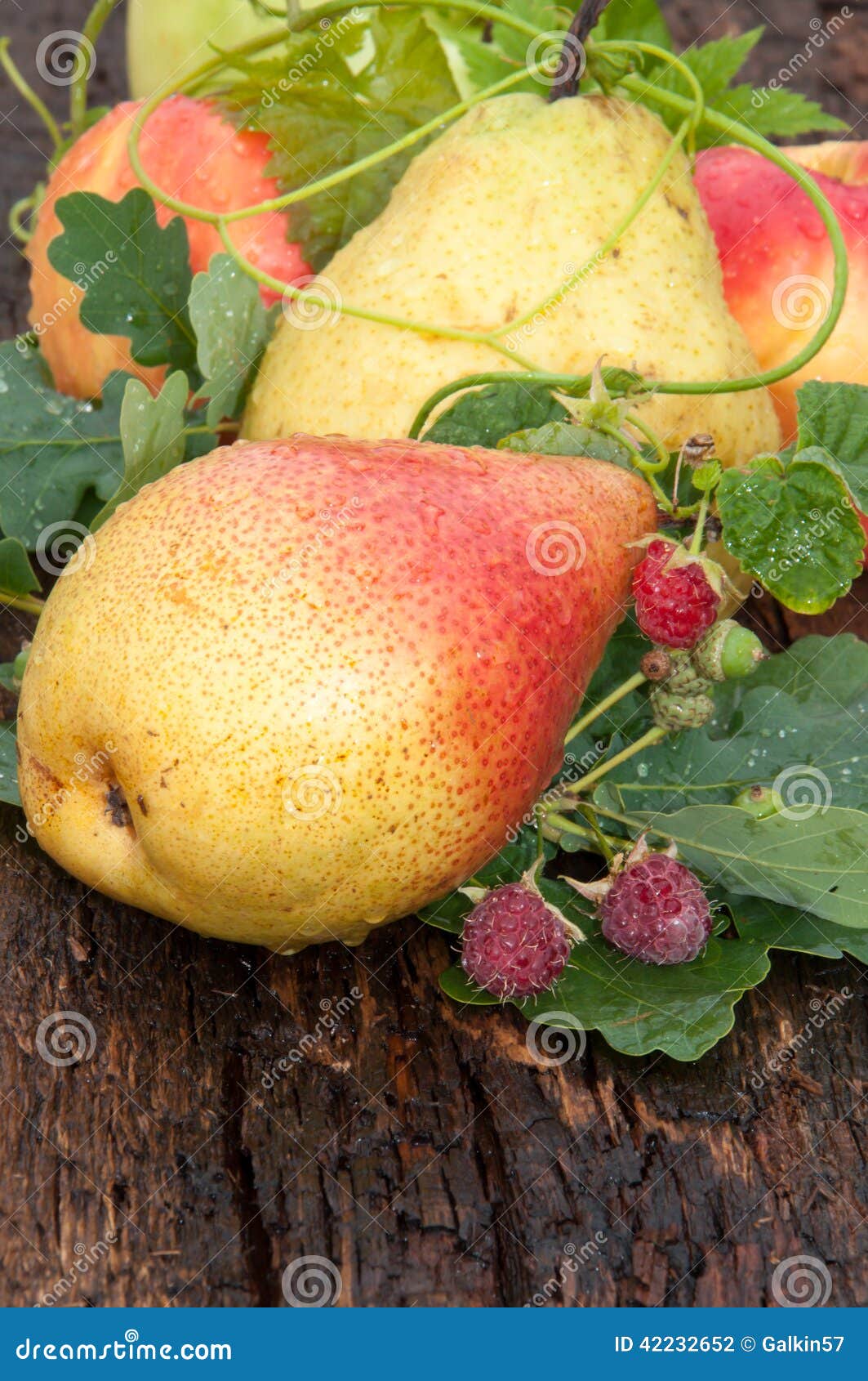 Ripe PEAR stock photo. Image of organic, healthy, green - 42232652