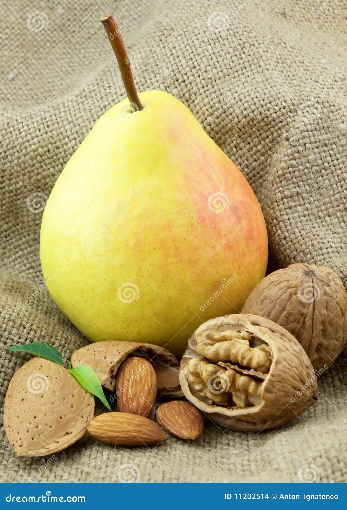 Ripe pear with sweet nuts stock photo. Image of fruit - 11202514