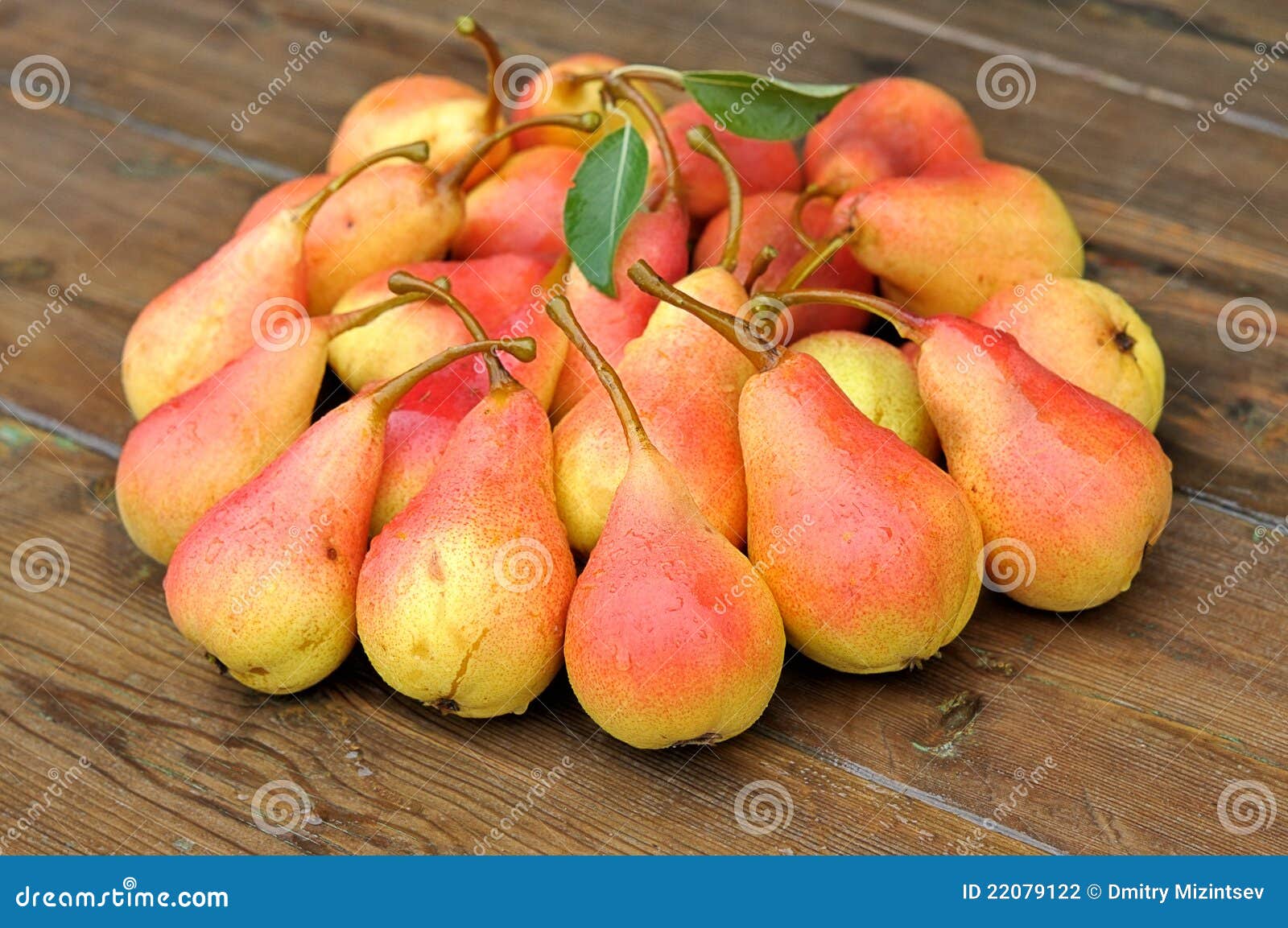 Ripe pears stock photo. Image of diet, healthy, pile - 22079122