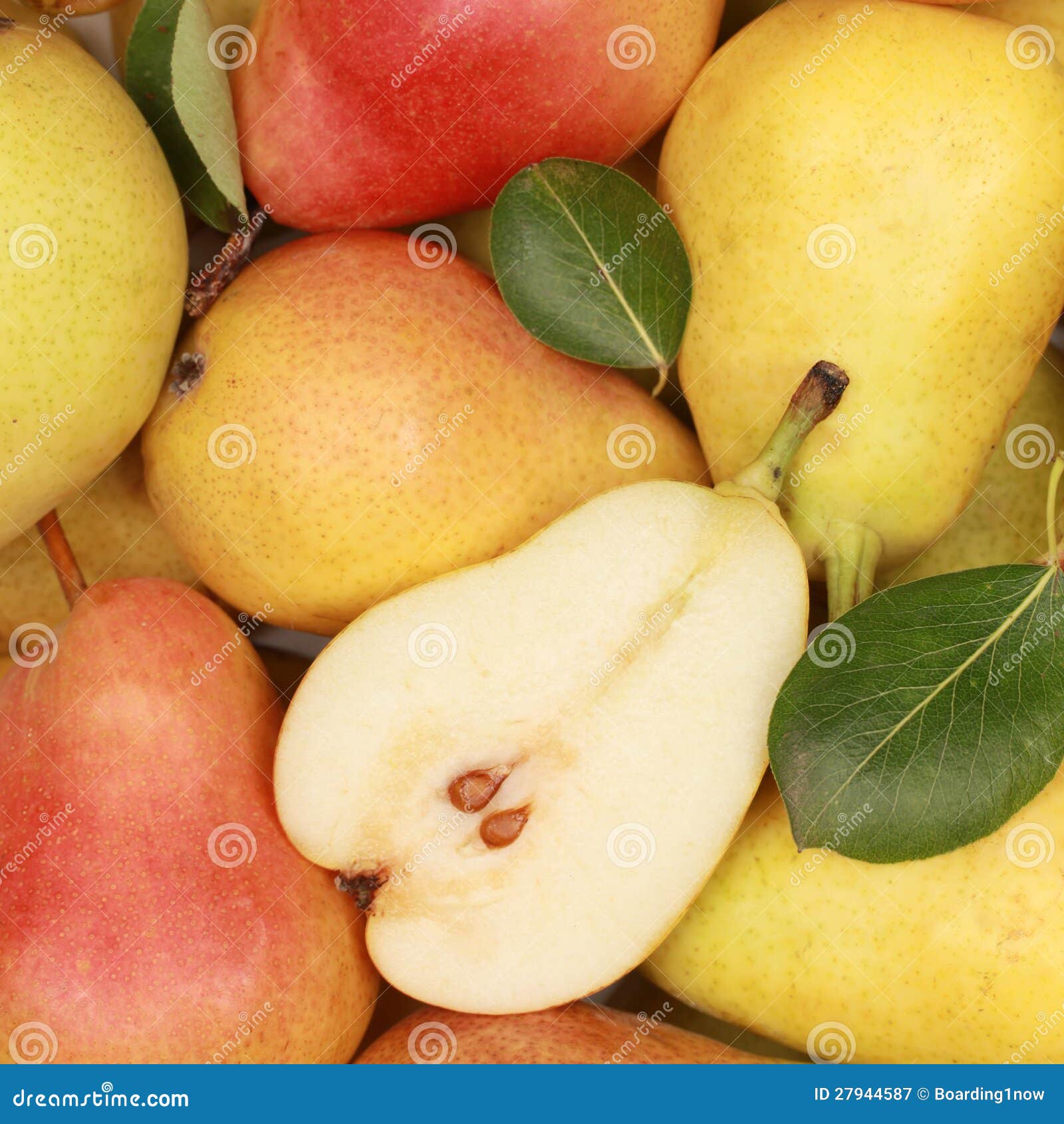 Ripe pears stock image. Image of leaf, healthy, leaves - 27944587