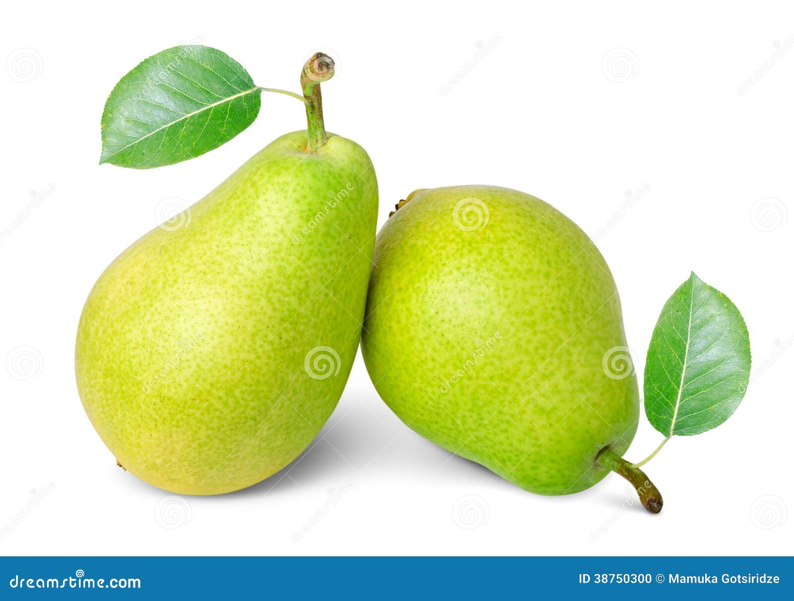 Ripe pears stock photo. Image of snack, organic, juicy - 38750300