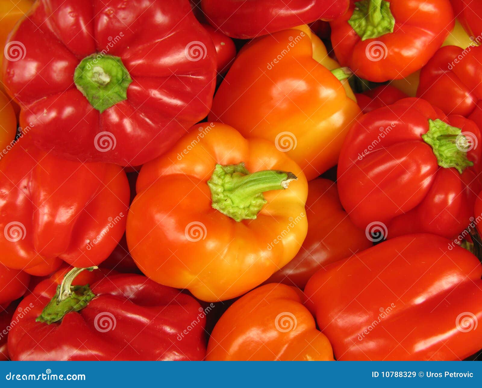 Ripe peppers stock image. Image of chili, closeup, mound - 10788329
