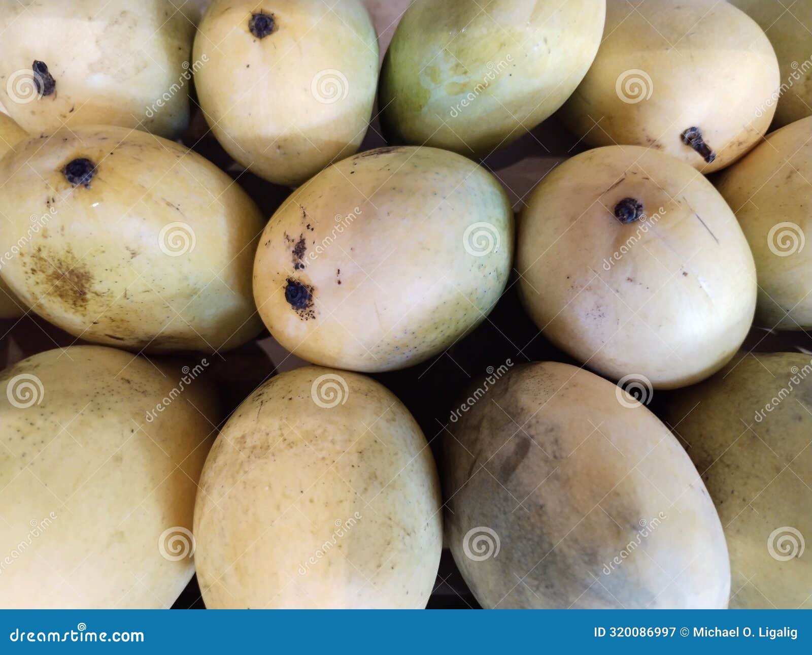 Ripe Philippine Mango Sweet and the Best Stock Image - Image of fruit ...