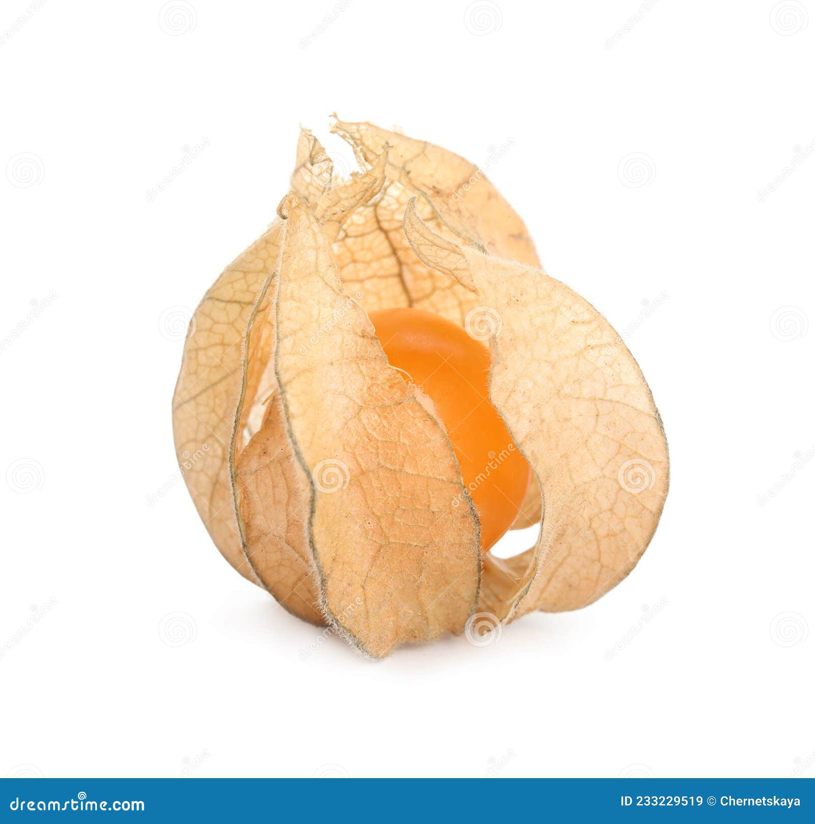 Ripe Physalis Fruit with Dry Husk on White Background Stock Image ...