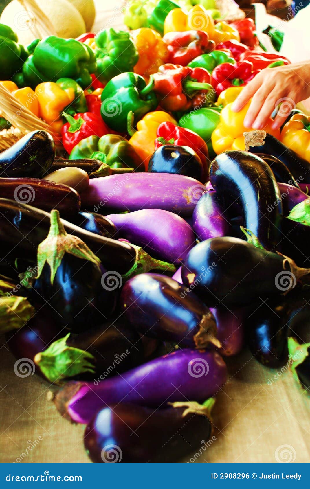 Ripe for the picking stock photo. Image of farmers, veggies - 2908296