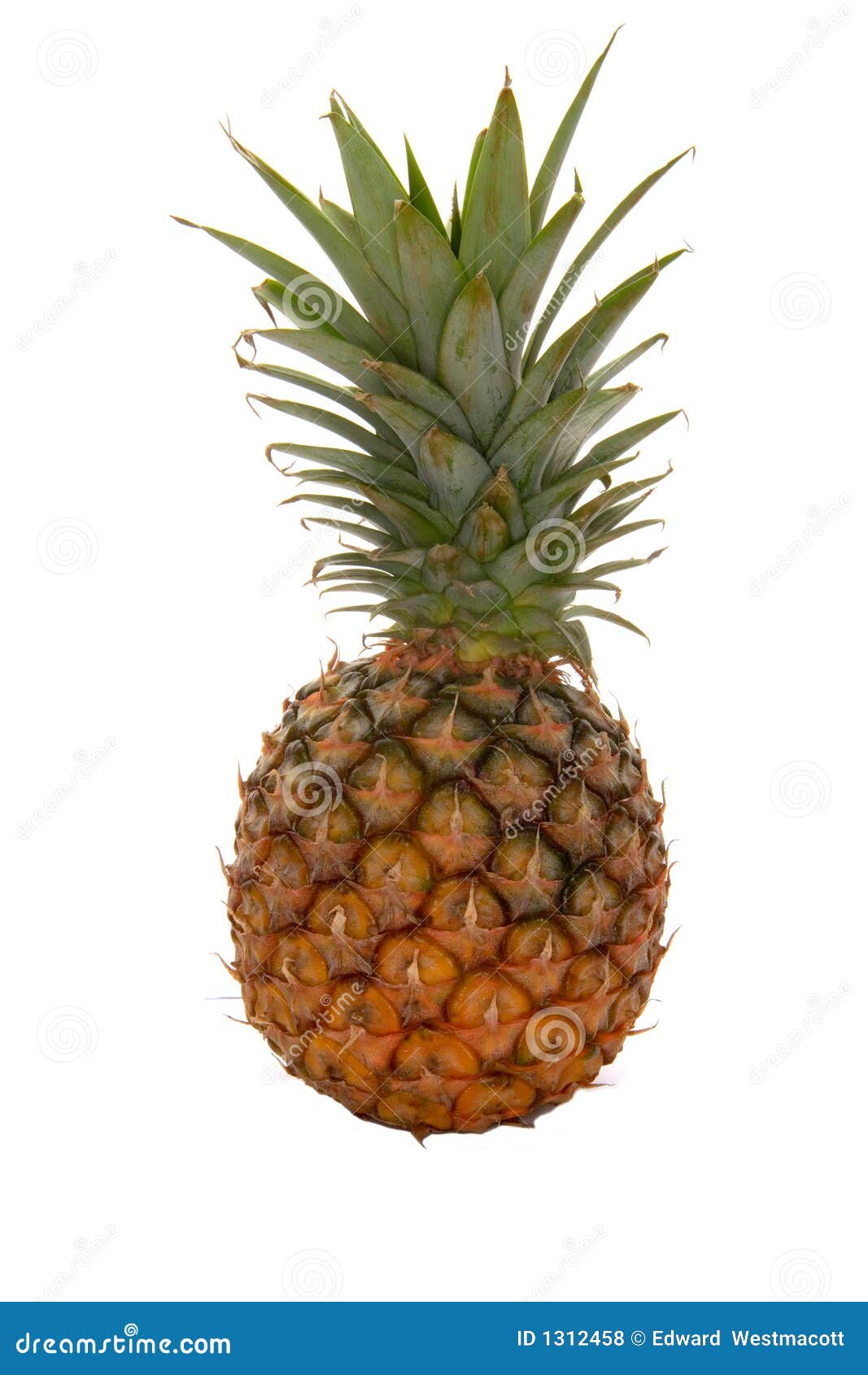 Ripe pineapple stock photo. Image of ripened, mouth, ananas - 1312458