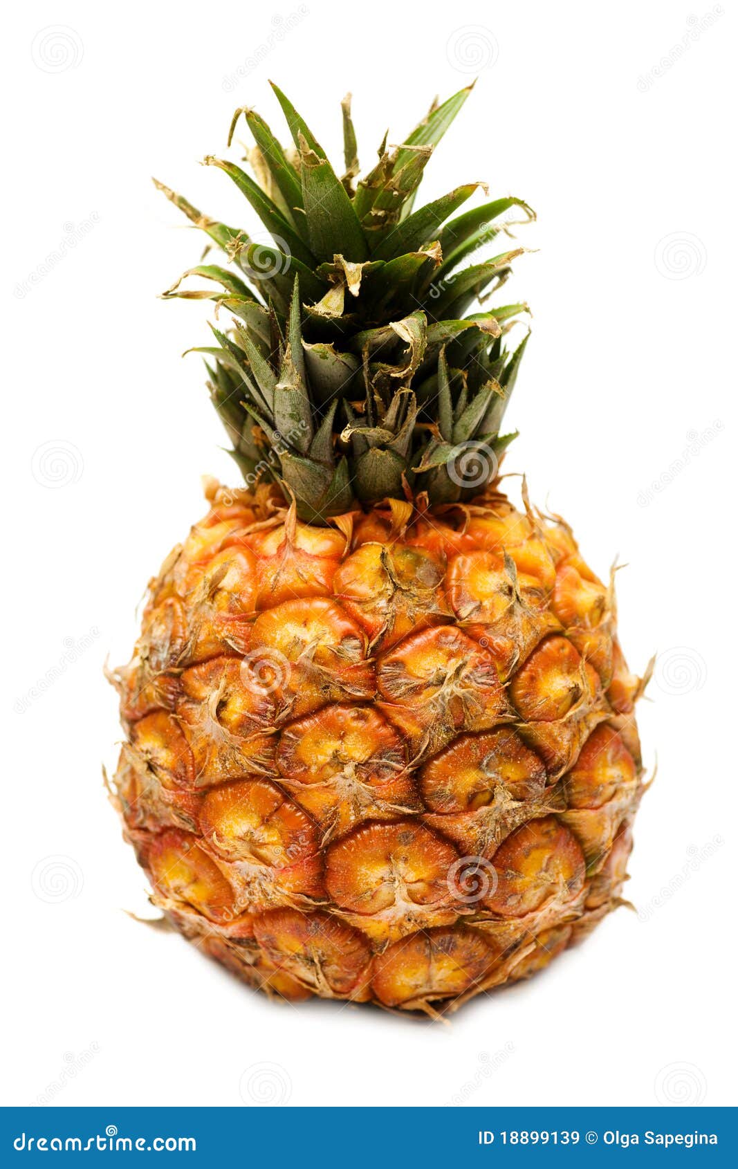 Ripe pineapple stock image. Image of eating, fresh, culture - 18899139