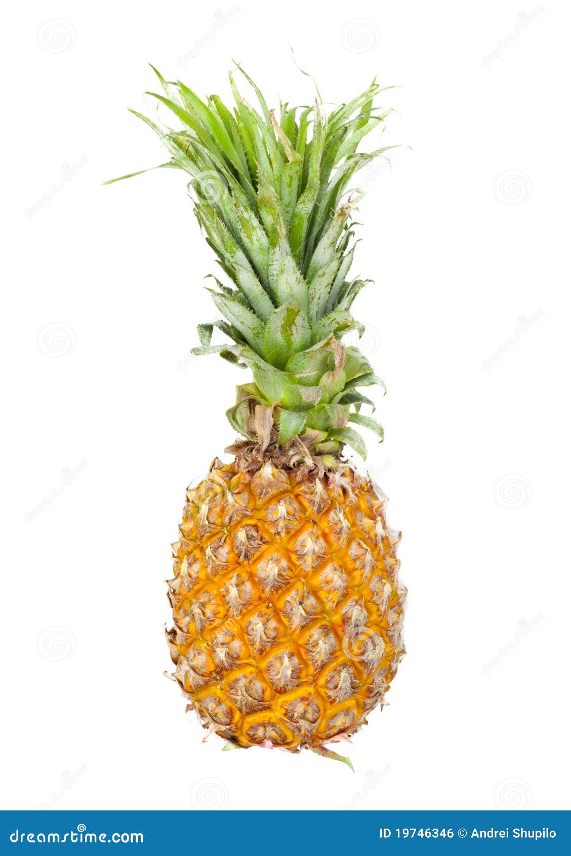 Ripe pineapple stock photo. Image of leaves, healthy - 19746346