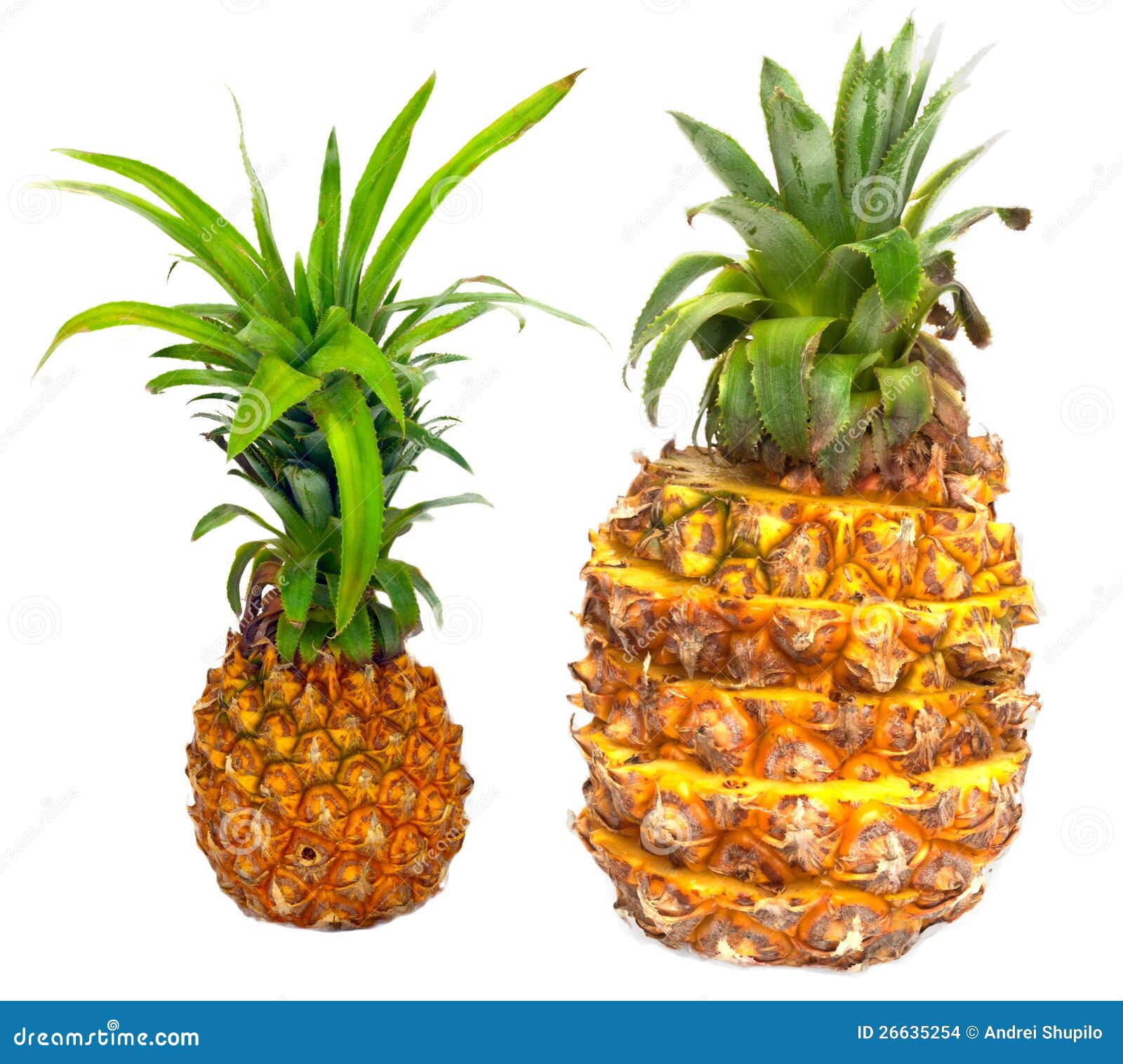 Ripe pineapple stock photo. Image of nature, caribbean - 26635254