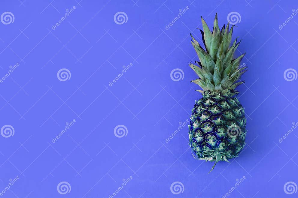 Ripe Pineapple on a Blue Background with Copy Space Stock Photo - Image of green, pastel: 246819706