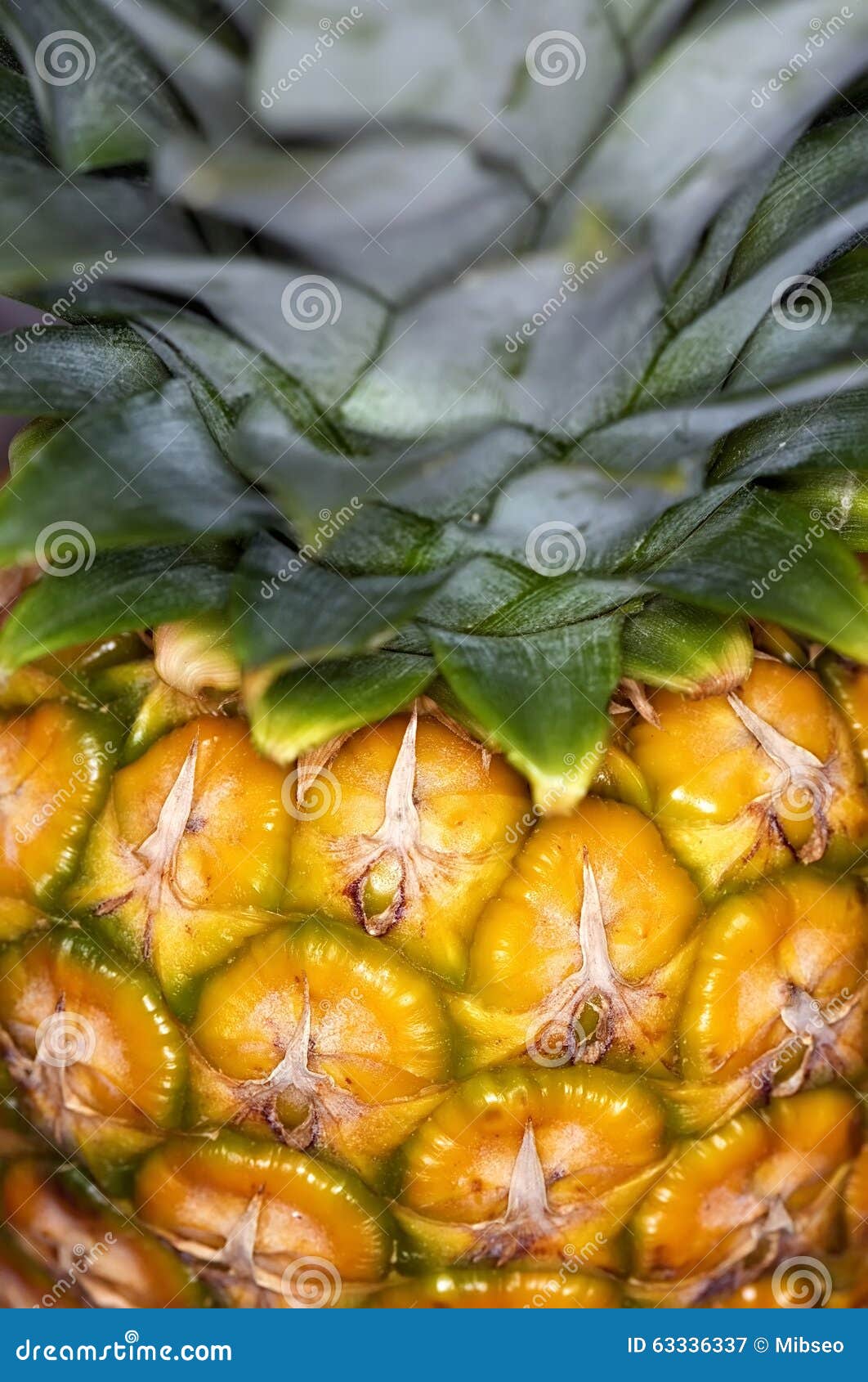 Ripe pineapple stock image. Image of fresh, pineapple - 63336337