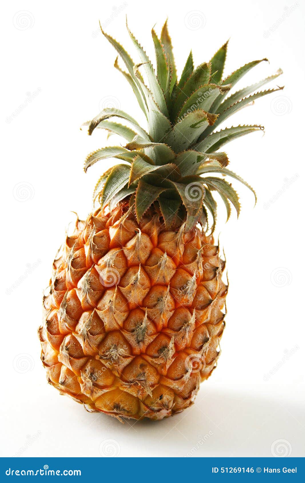 Ripe pineapple stock photo. Image of health, color, refreshment - 51269146