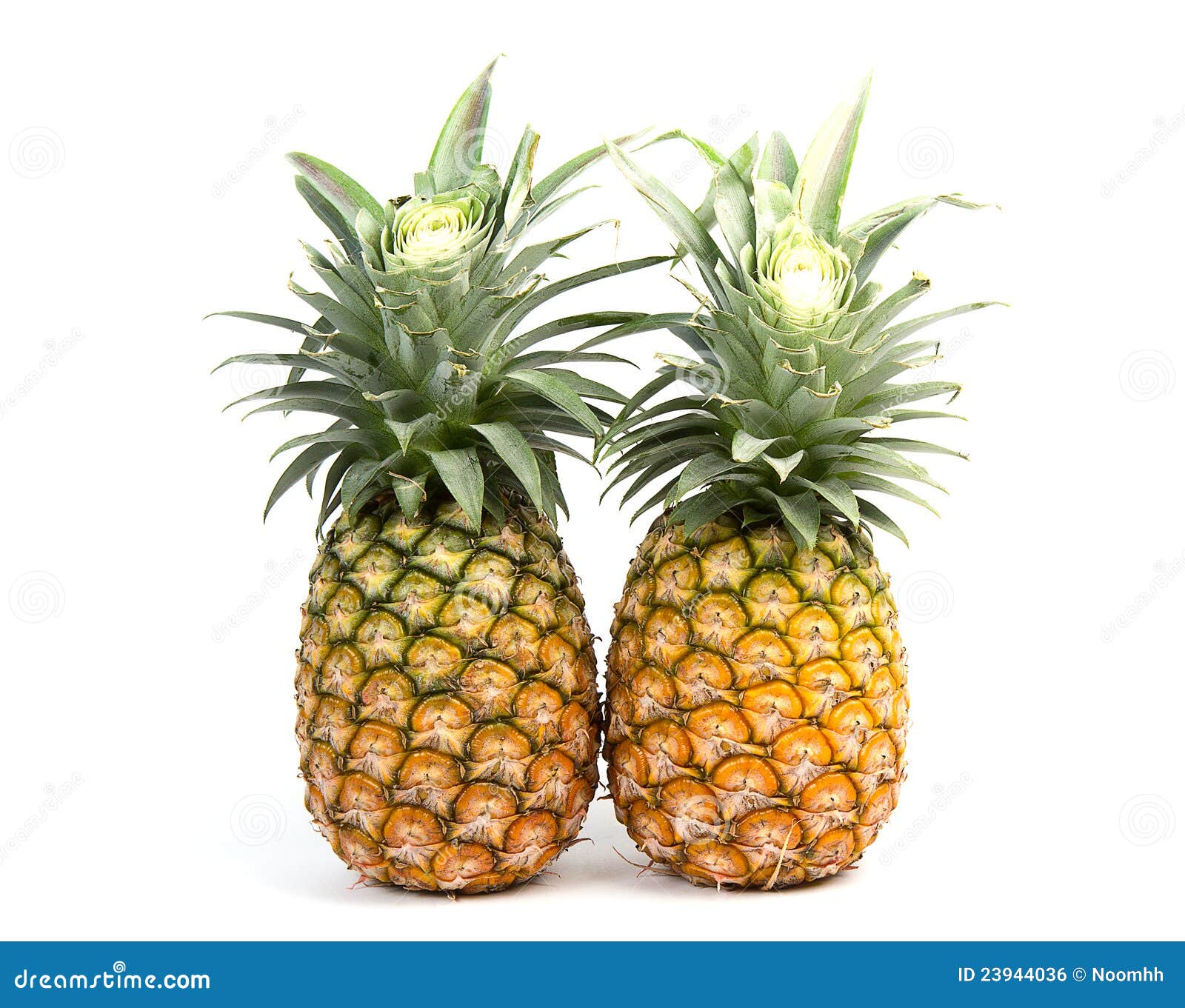 Ripe pineapple isolated stock photo. Image of eating - 23944036